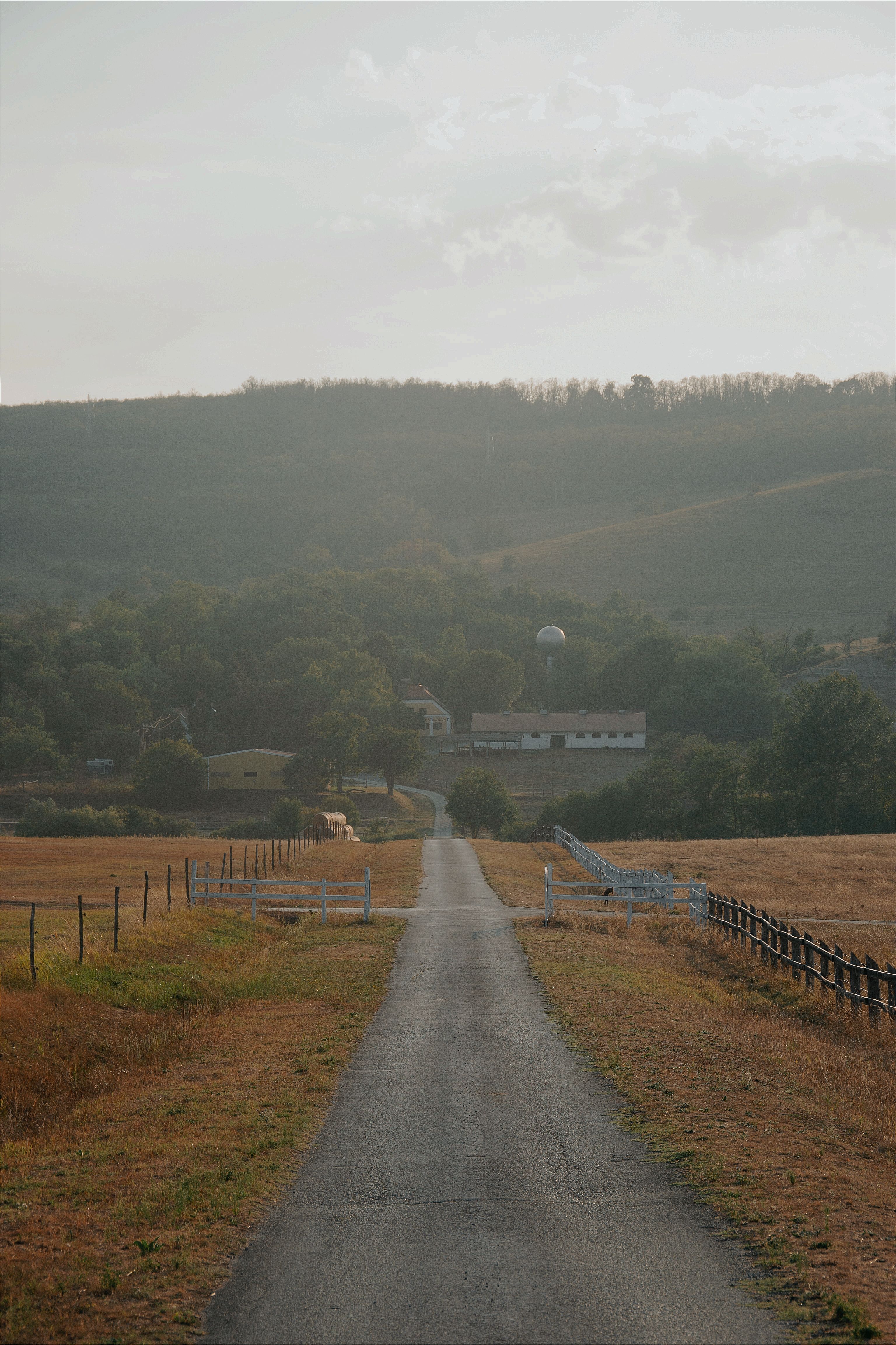 Scenic Countryside Road in Hungary · Free Stock Photo