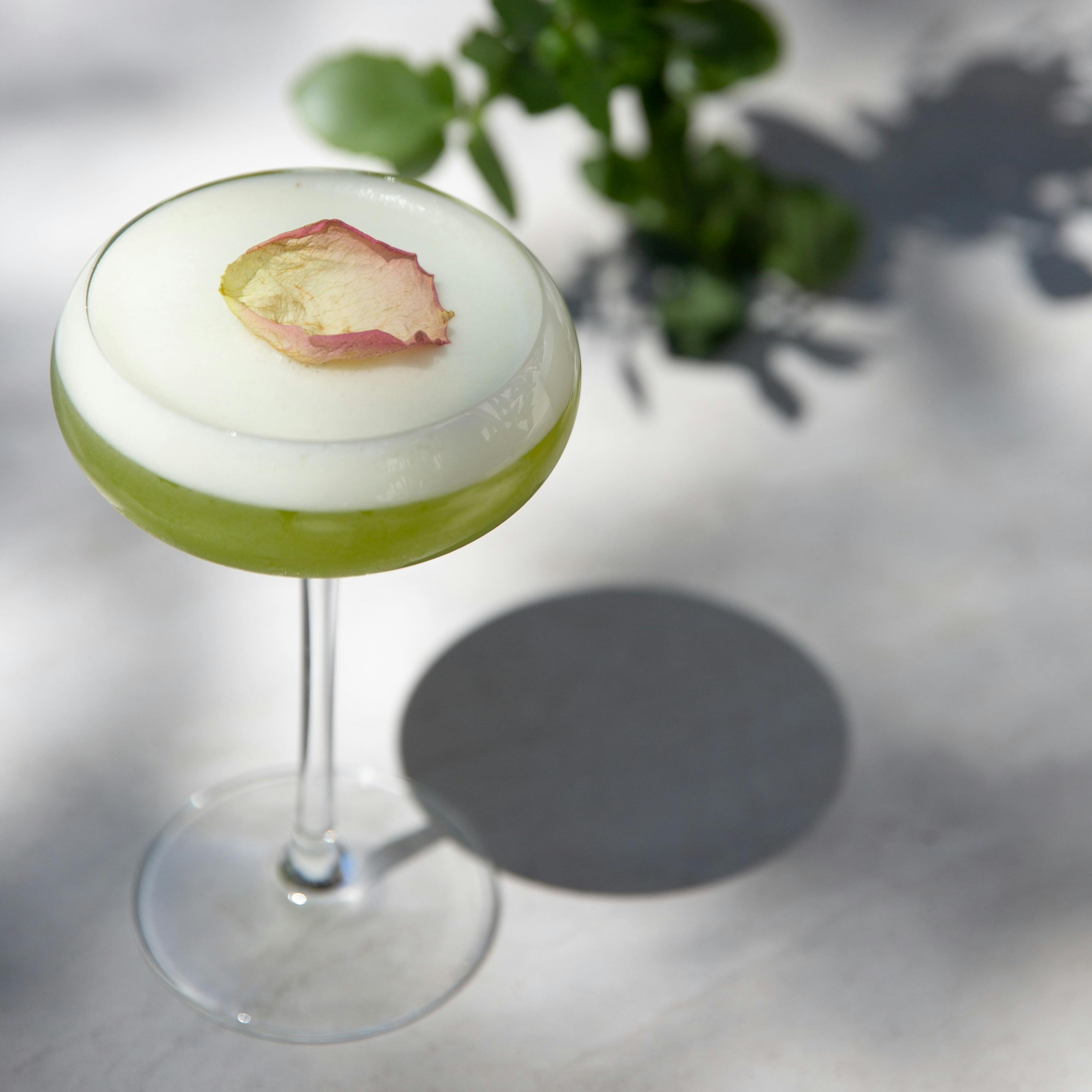 Elegant Cocktail with Rose Petal Garnish · Free Stock Photo