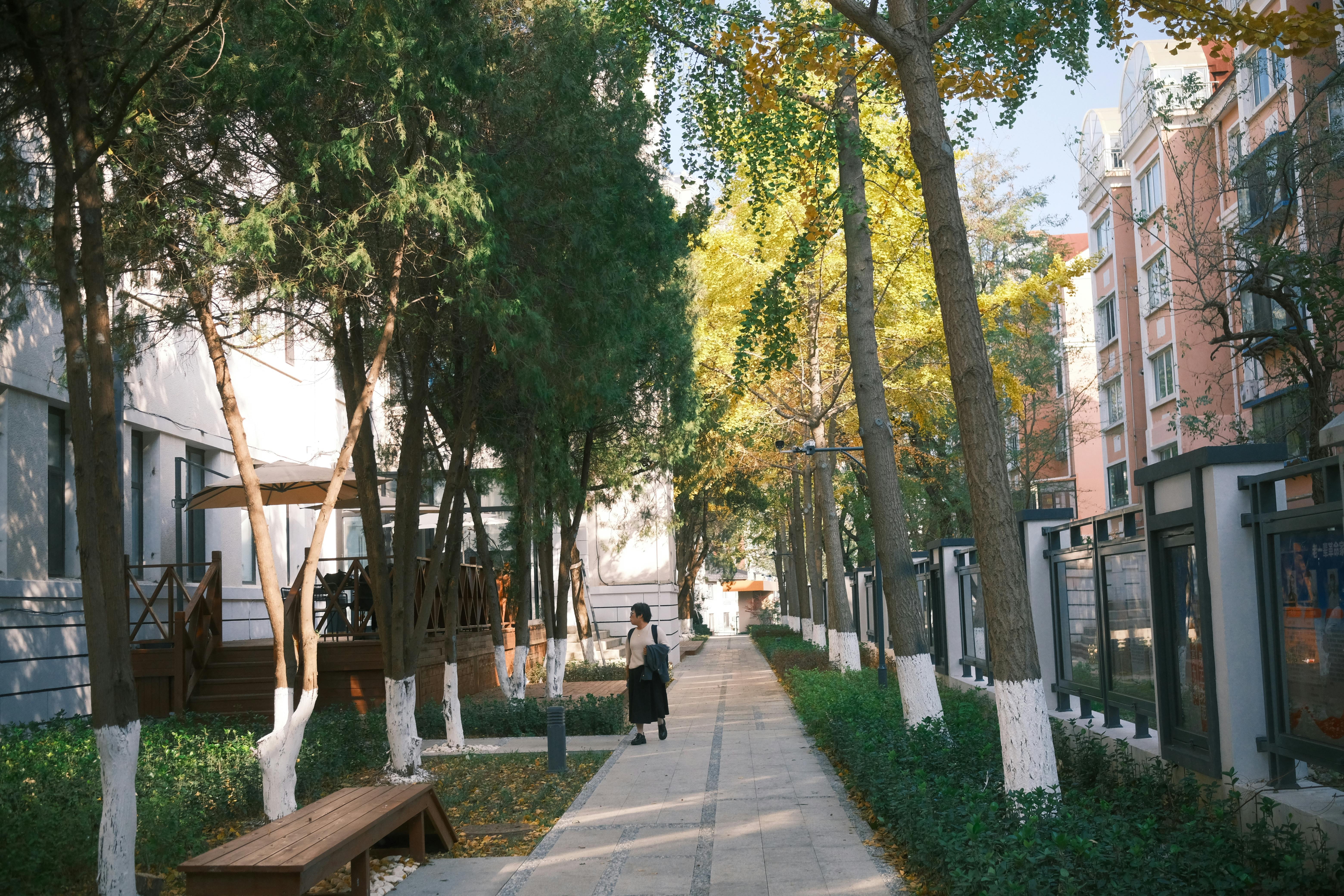 Solitary Buildings Photos, Download The BEST Free Solitary Buildings ...