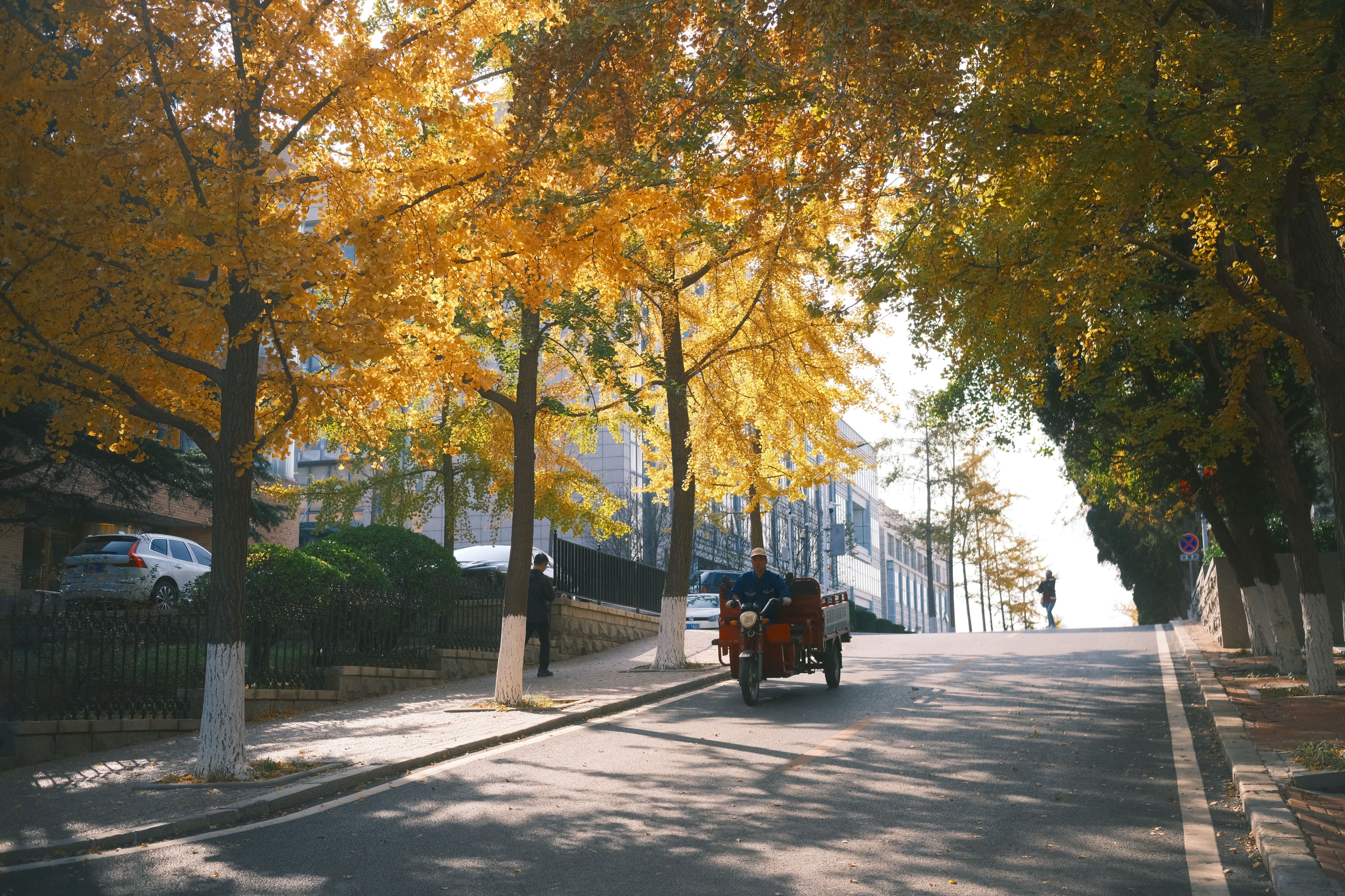 Autumn Street Scene with Motorcycle Ride · Free Stock Photo