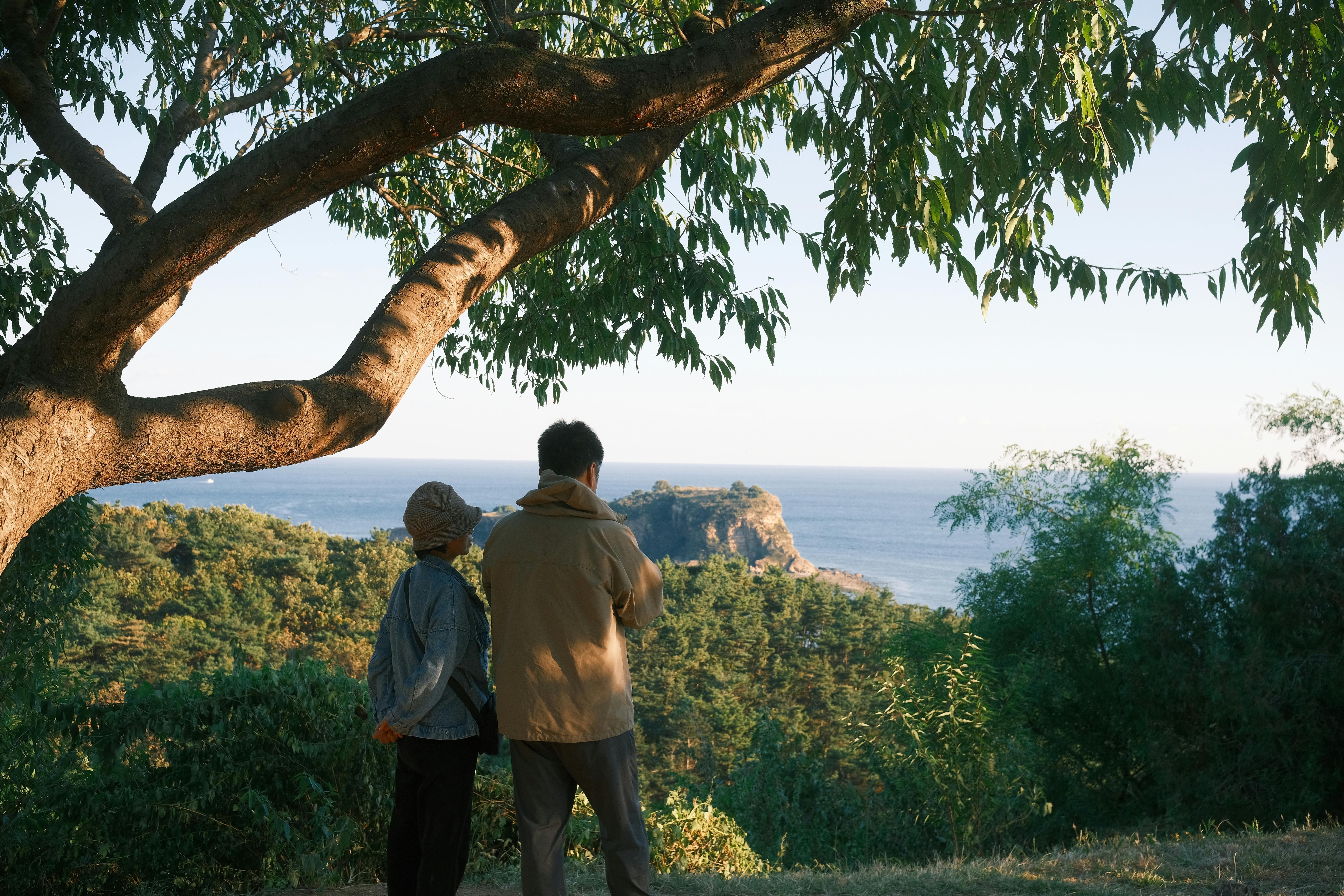 Tree Observation Photos, Download The BEST Free Tree Observation Stock ...