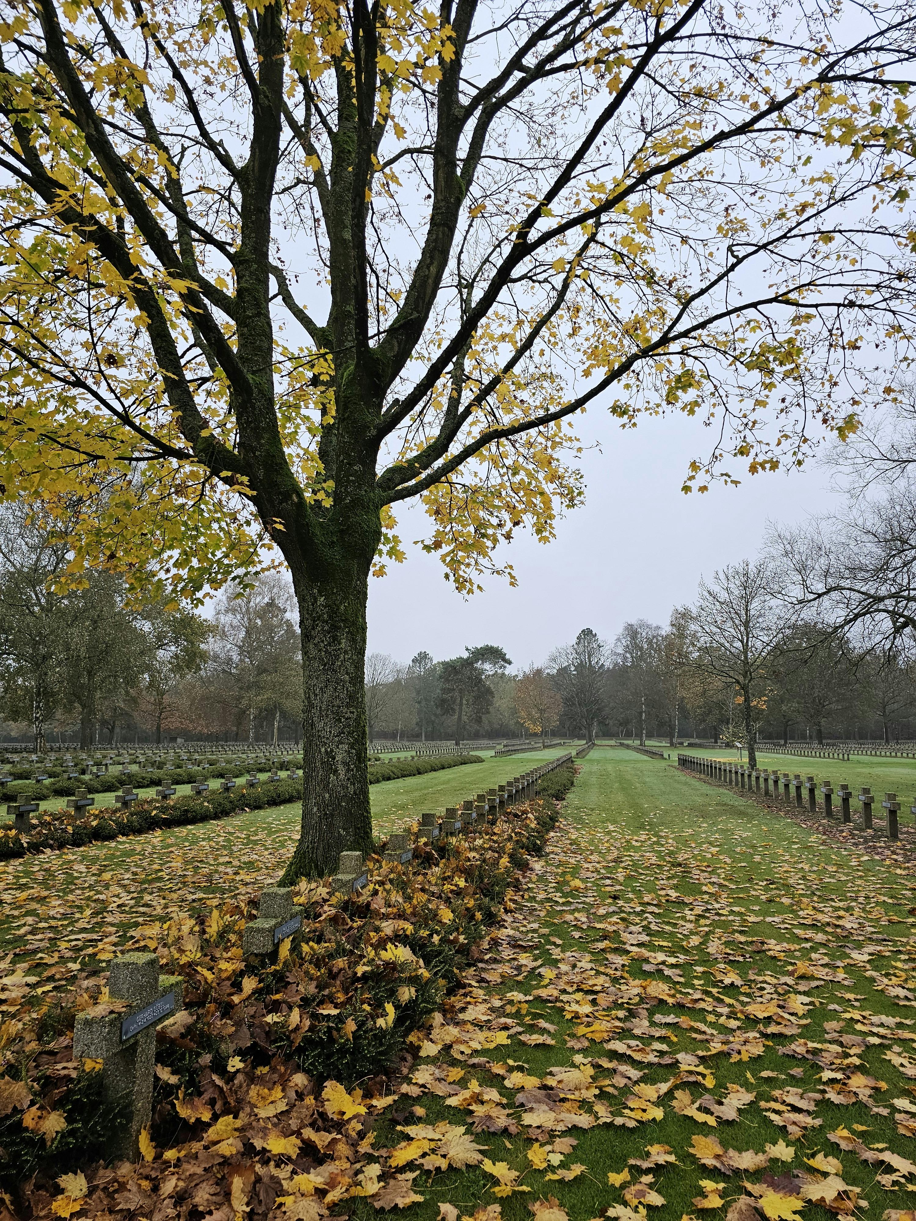 Lommel German War Cemetery Photos, Download The BEST Free Lommel German ...