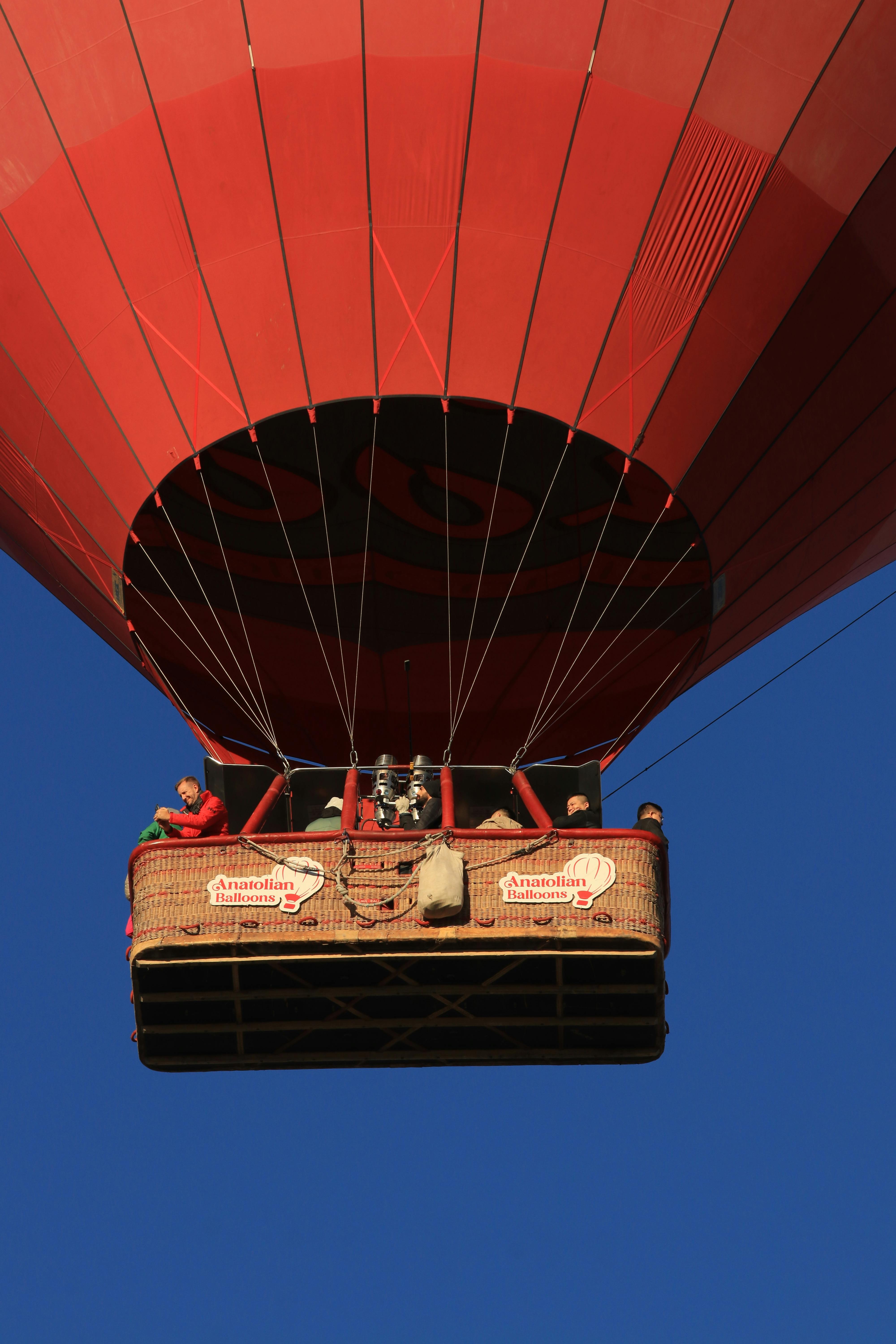 Tasm Photos, Download The BEST Free Tasm Stock Photos & HD Images