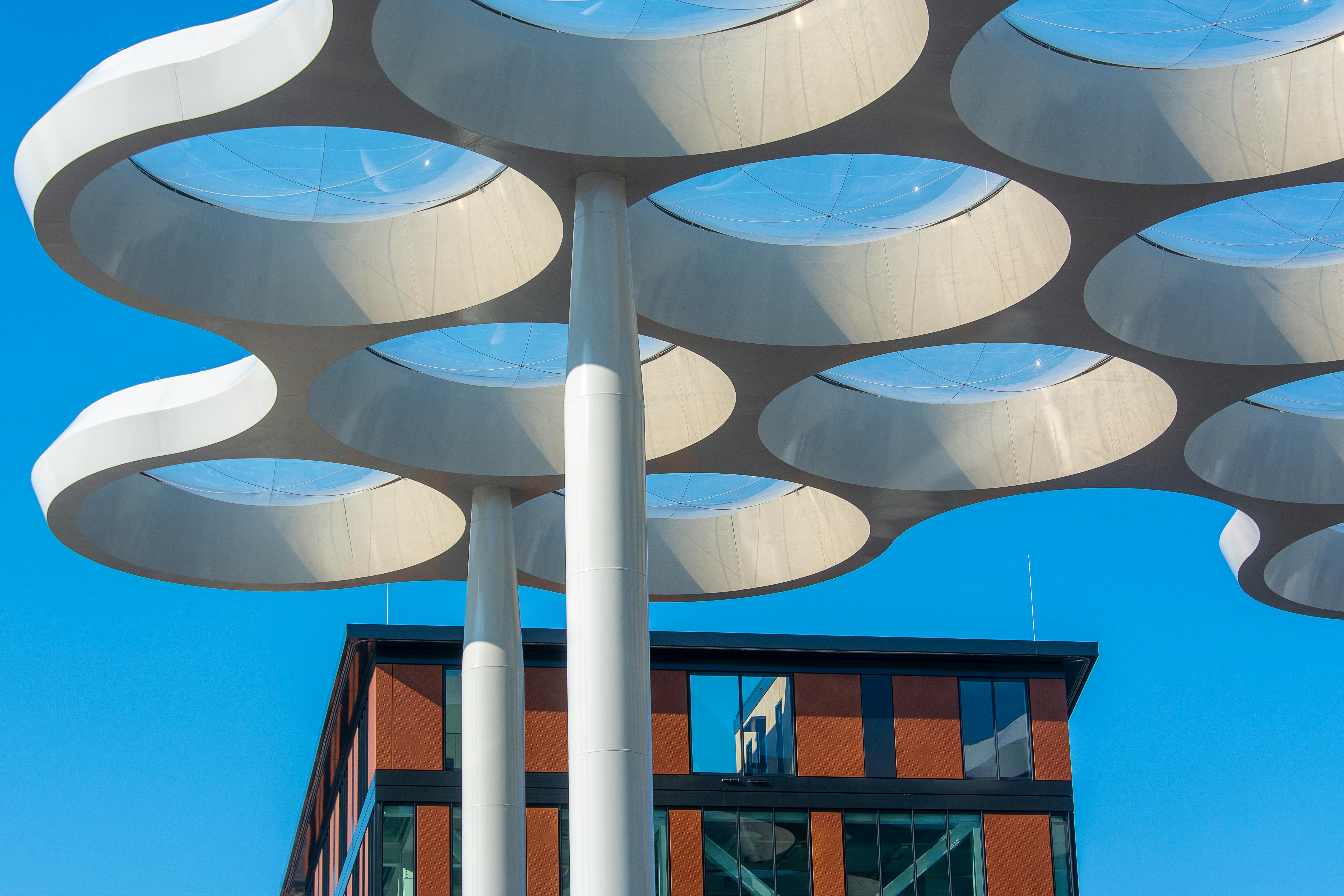 Jan van der Wolf - 摄影