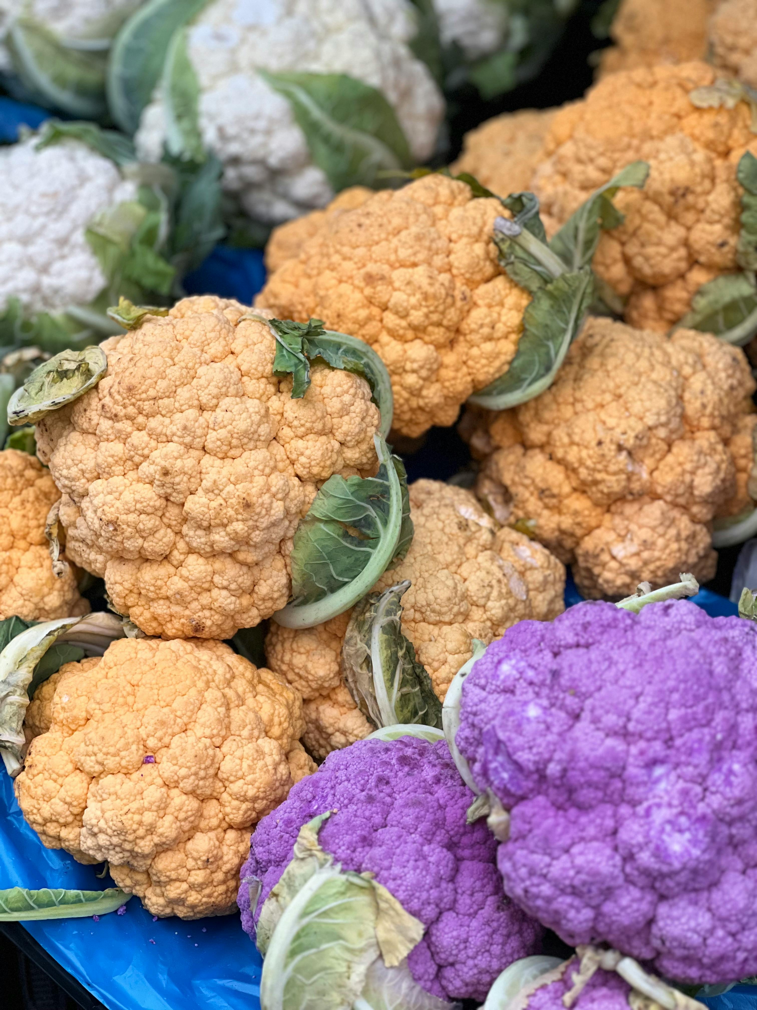 Vibrant Orange and Purple Cauliflower Display · Free Stock Photo