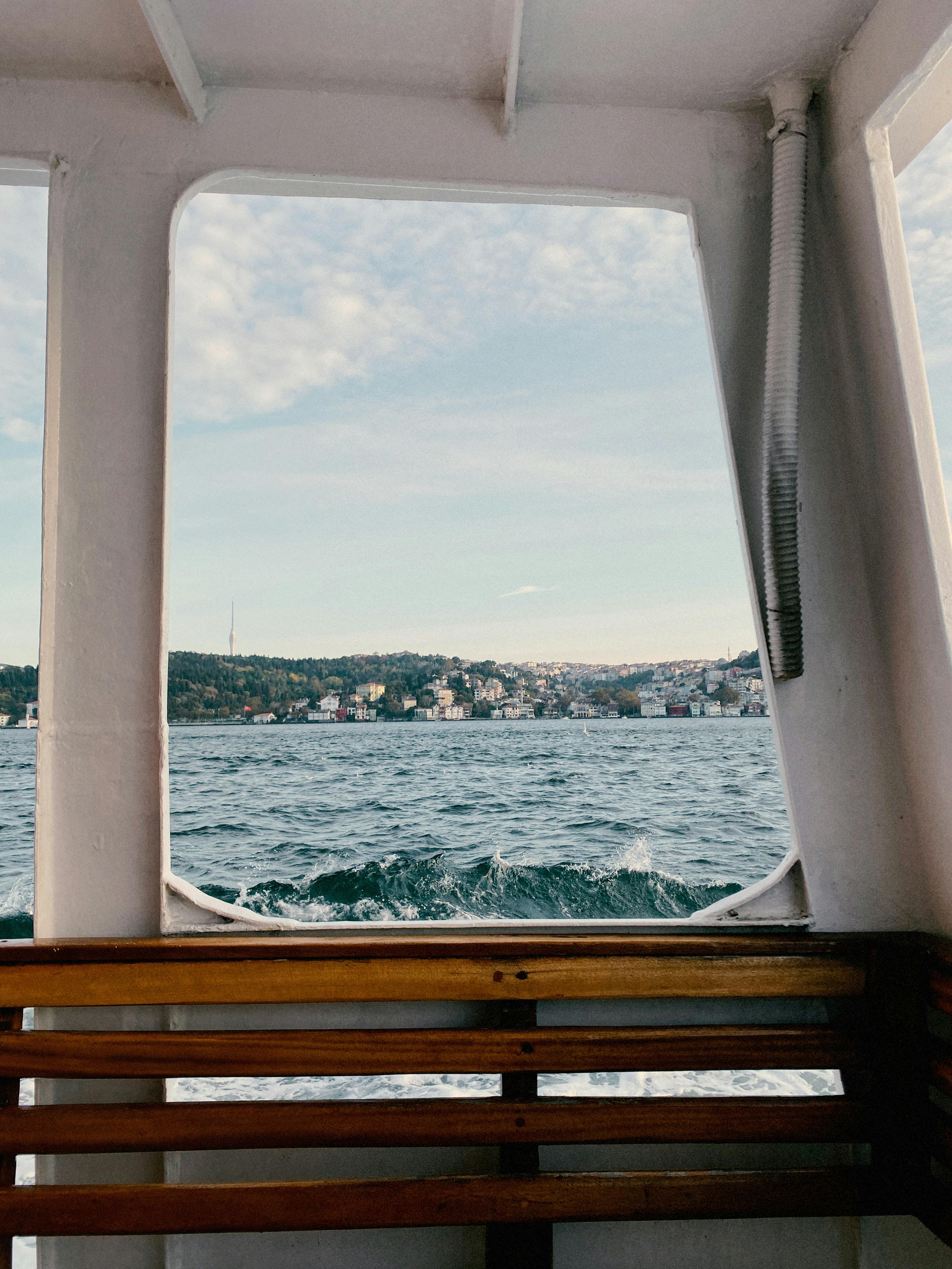 Sea Tur Photos, Download The BEST Free Sea Tur Stock Photos & HD Images