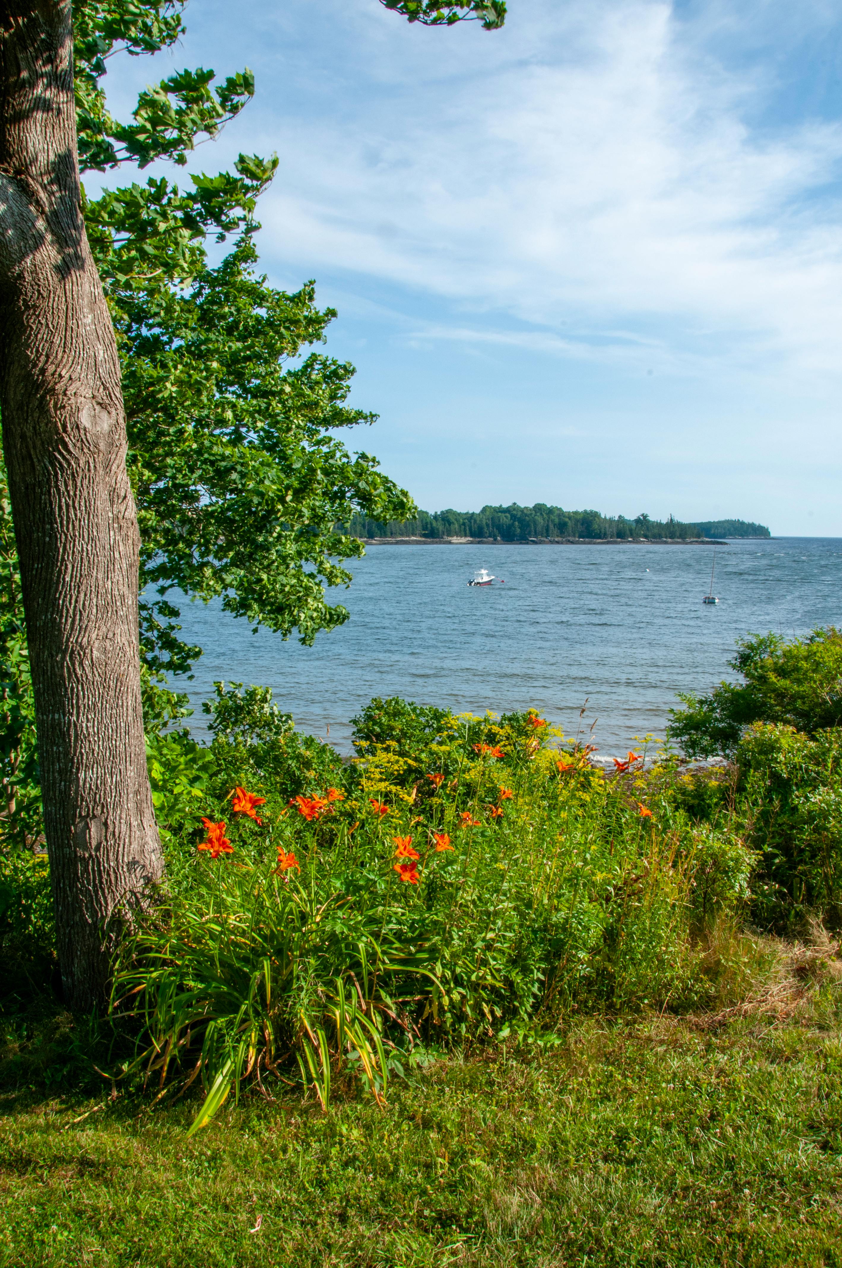 Scenic Summer View of Penobscot Bay from Castine · Free Stock Photo