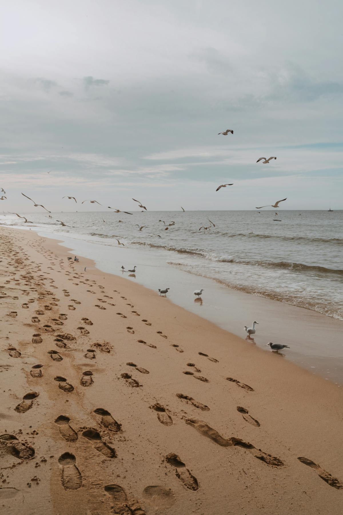 Sand Footprint Photos, Download The BEST Free Sand Footprint Stock ...