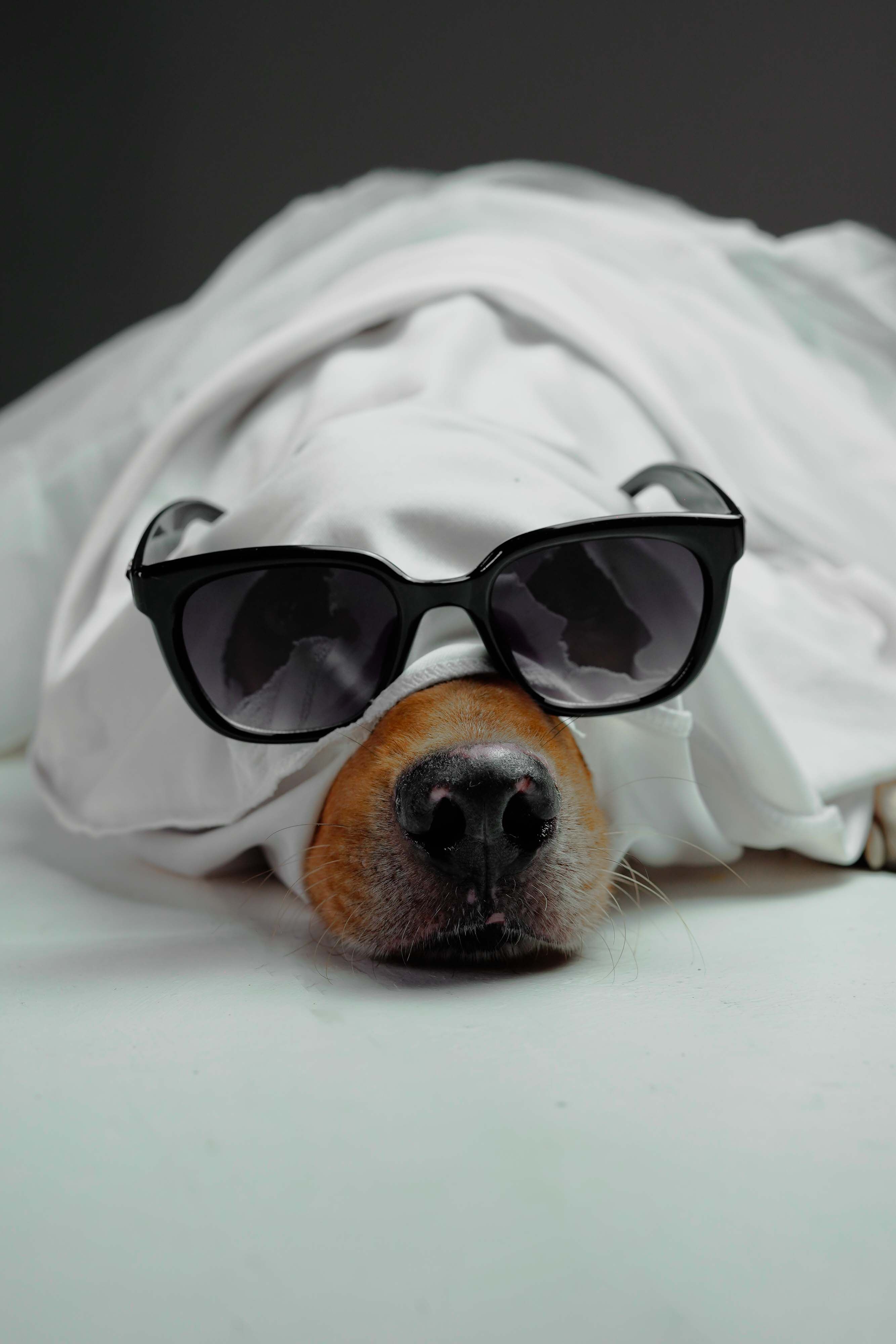 Sleeping Styles Photos, Download The BEST Free Sleeping Styles Stock ...