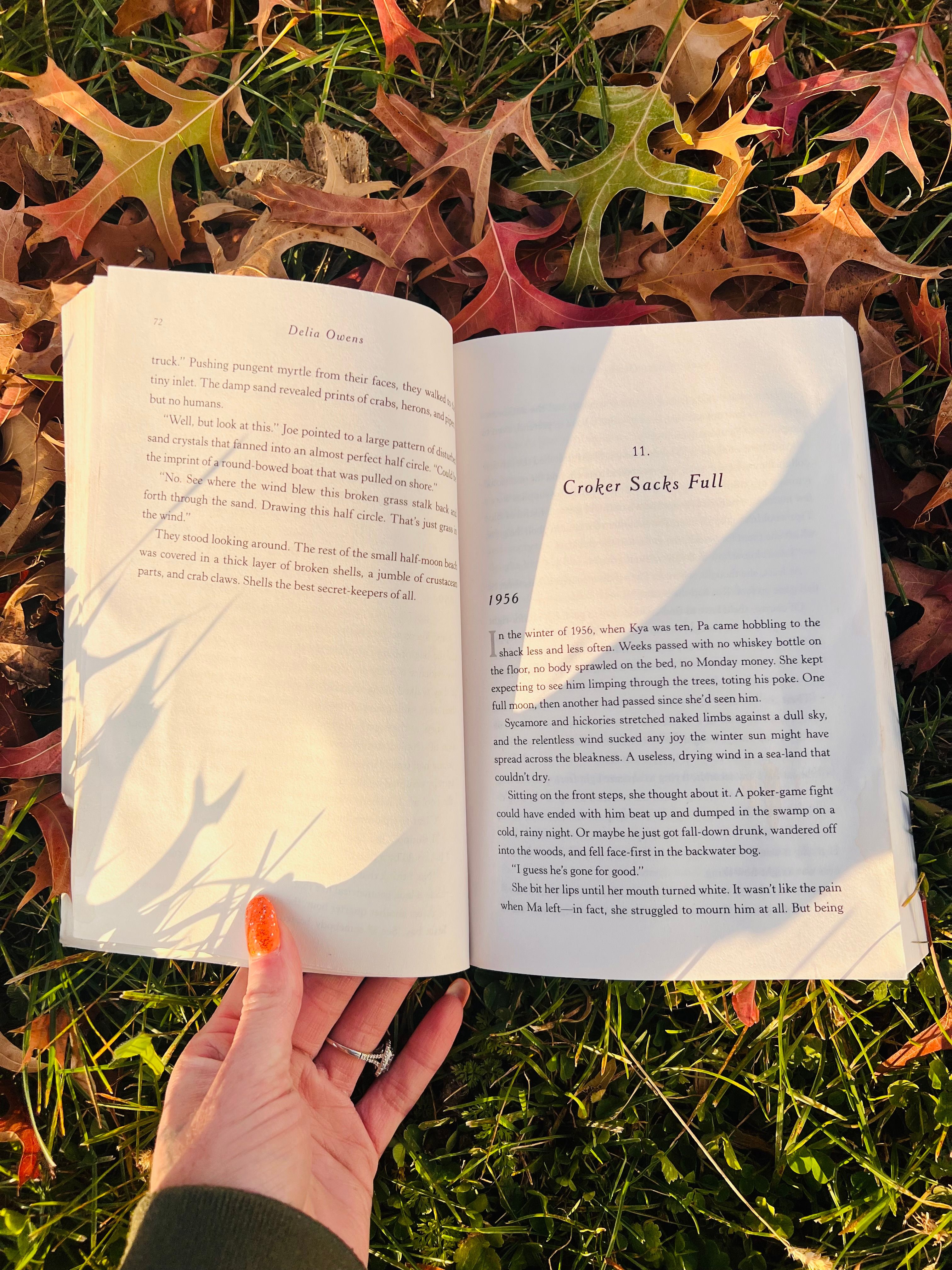 Hand Holding Open Book with Autumn Leaves · Free Stock Photo