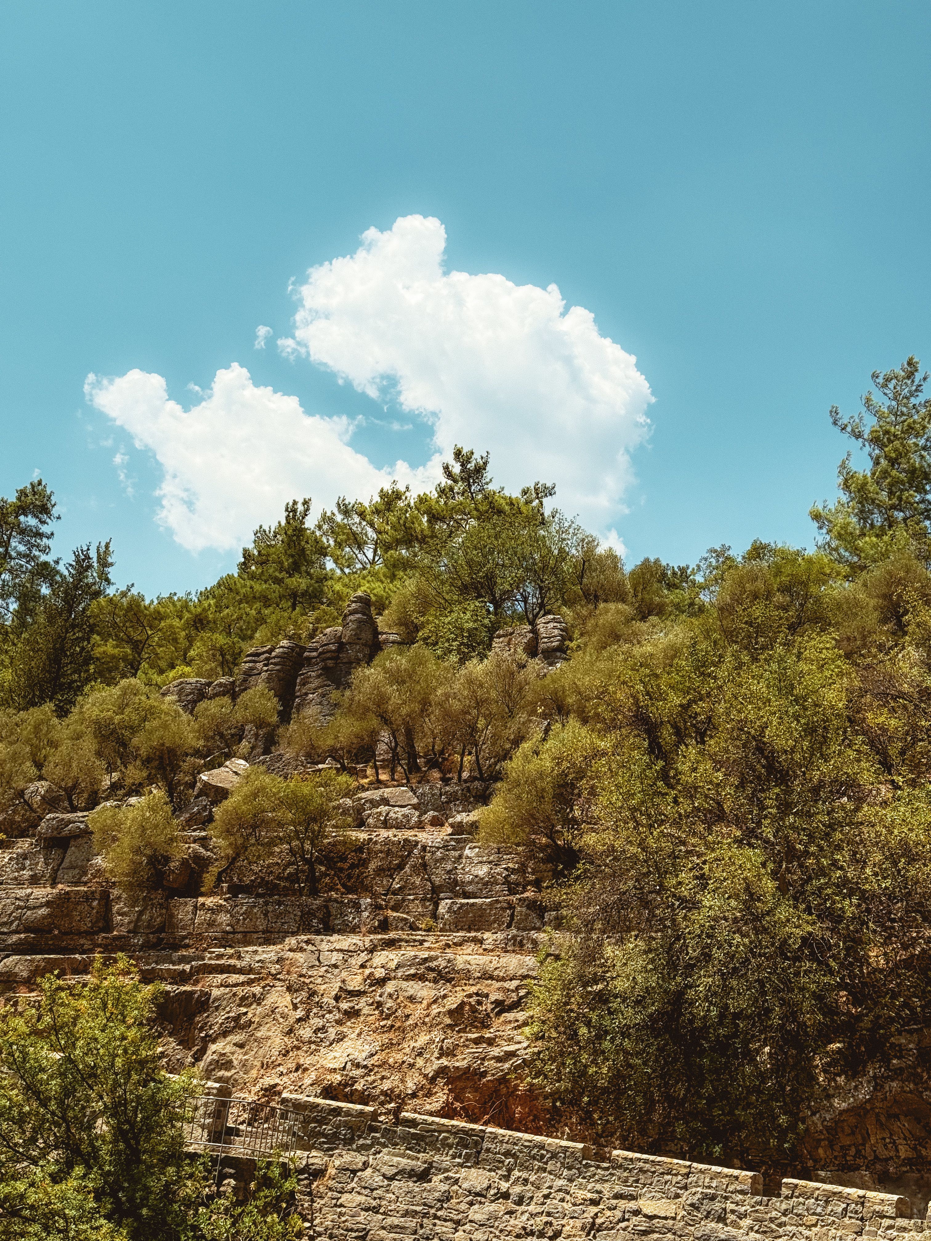 100,000+ Best Natural Images & Pictures · 100% Free Download · Pexels ...