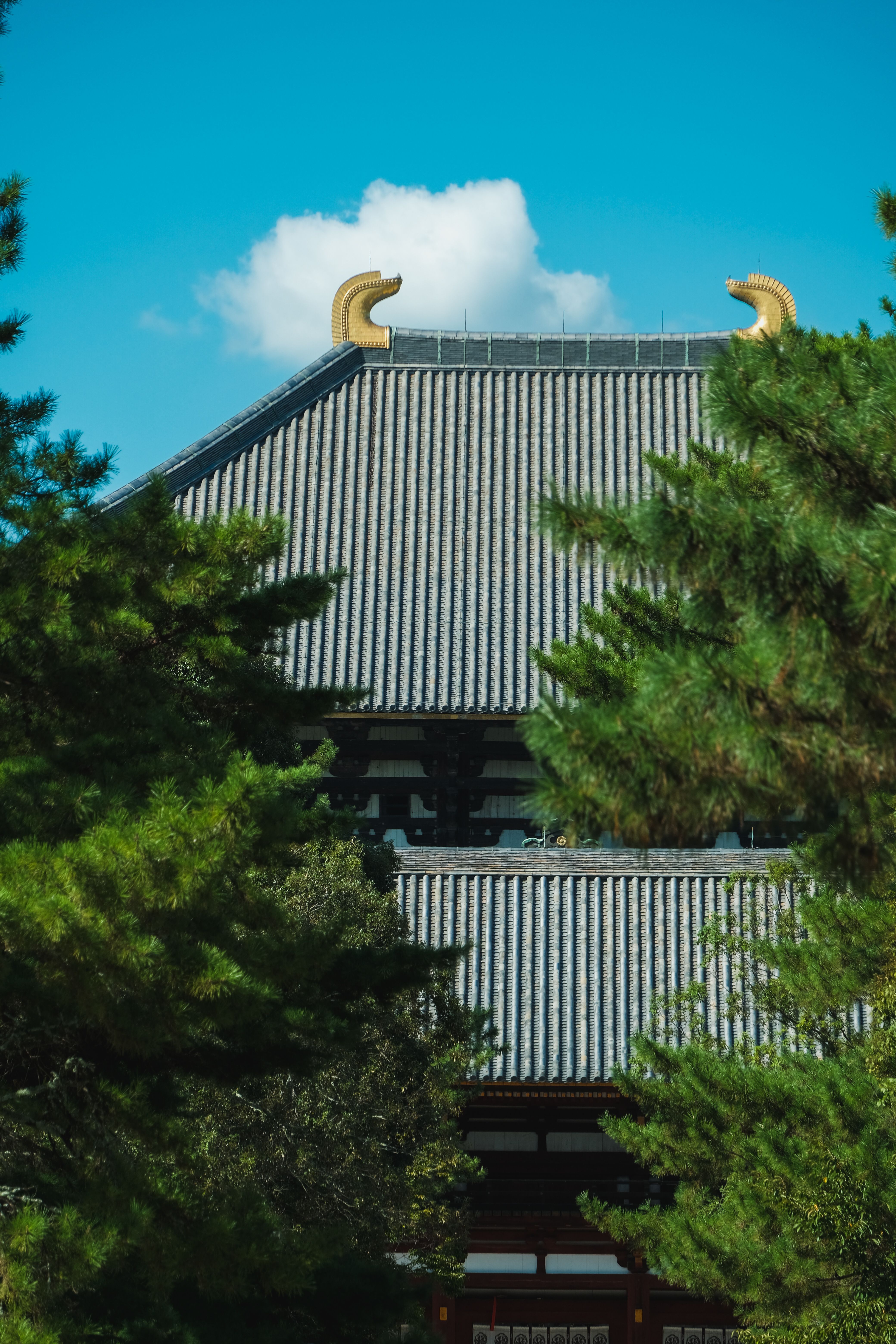 Traditional Japanese Temple Roof Captured Outdoors · Free Stock Photo