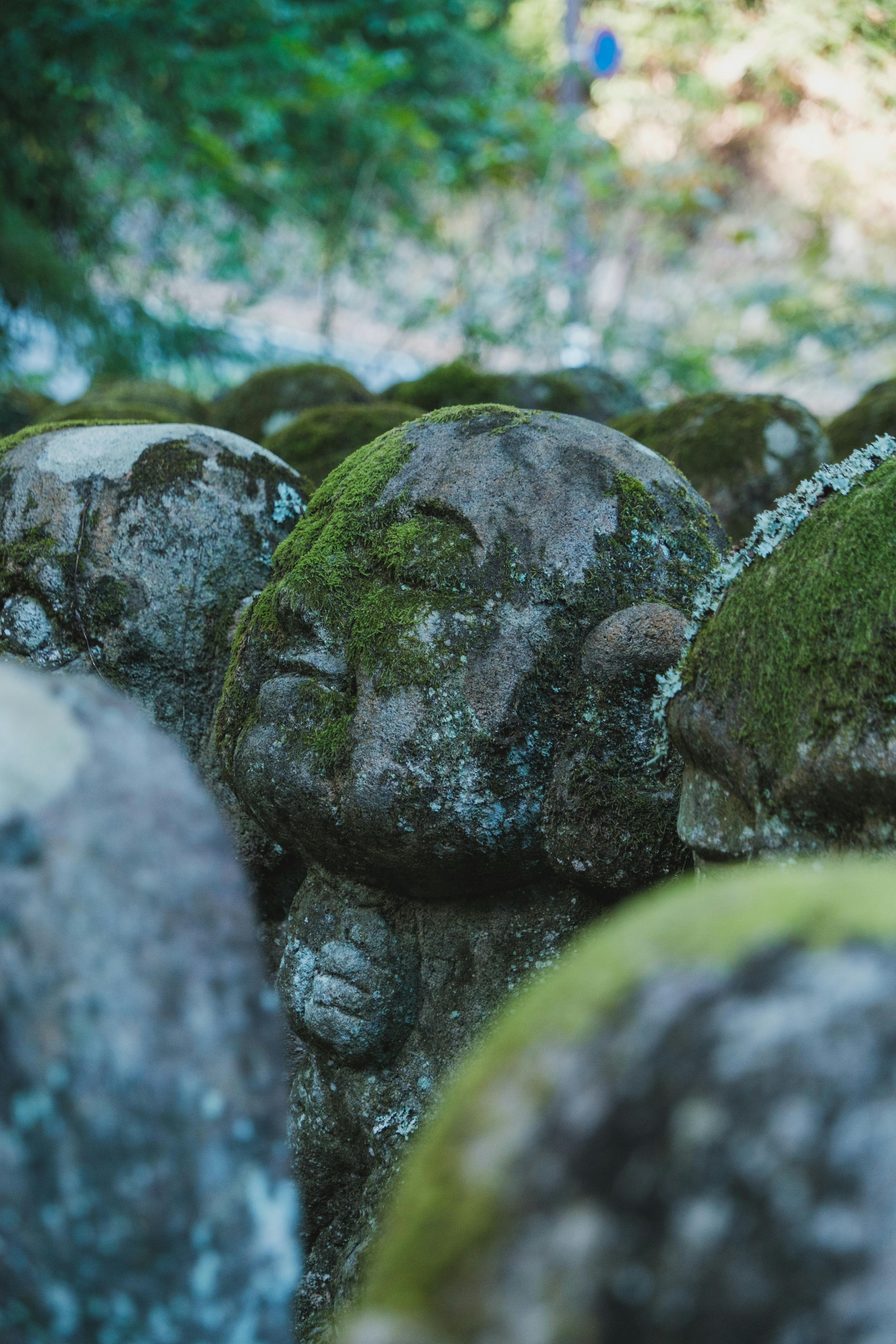 Moss-Covered Stone Statues in Tranquil Forest · Free Stock Photo