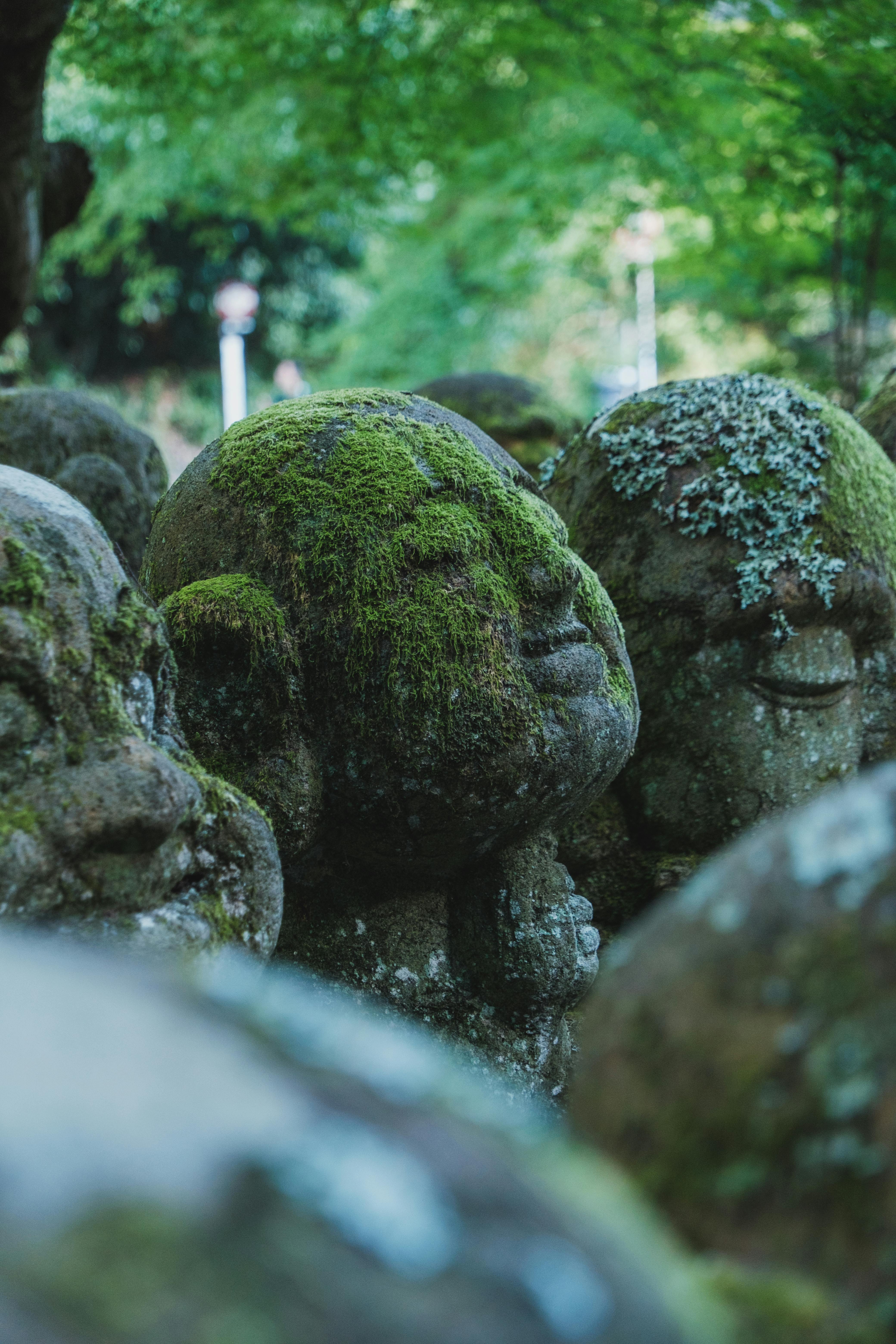 Moss-Covered Buddhist Statues in Tranquil Forest · Free Stock Photo