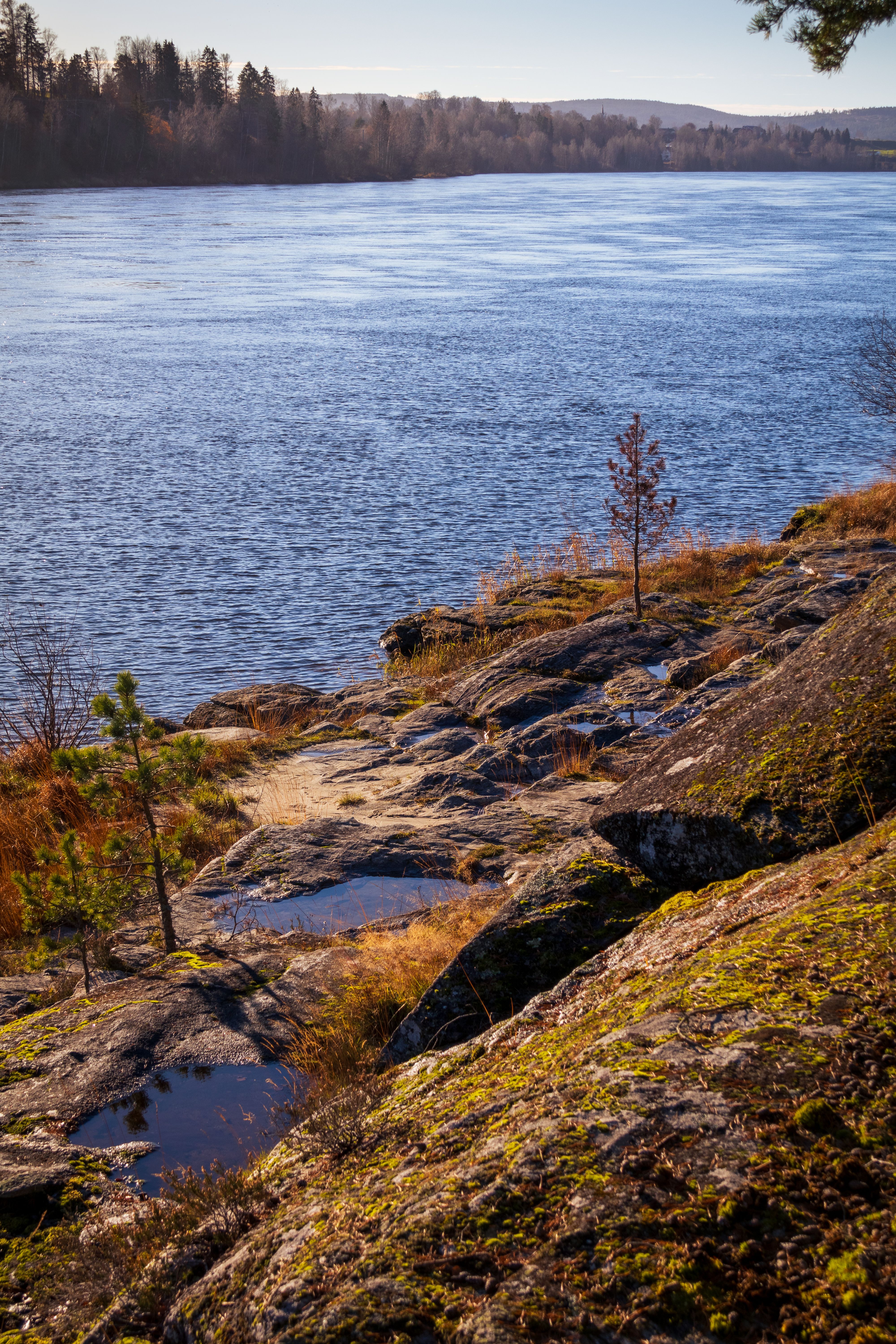 Serene Autumn River Landscape with Rocky Shoreline · Free Stock Photo