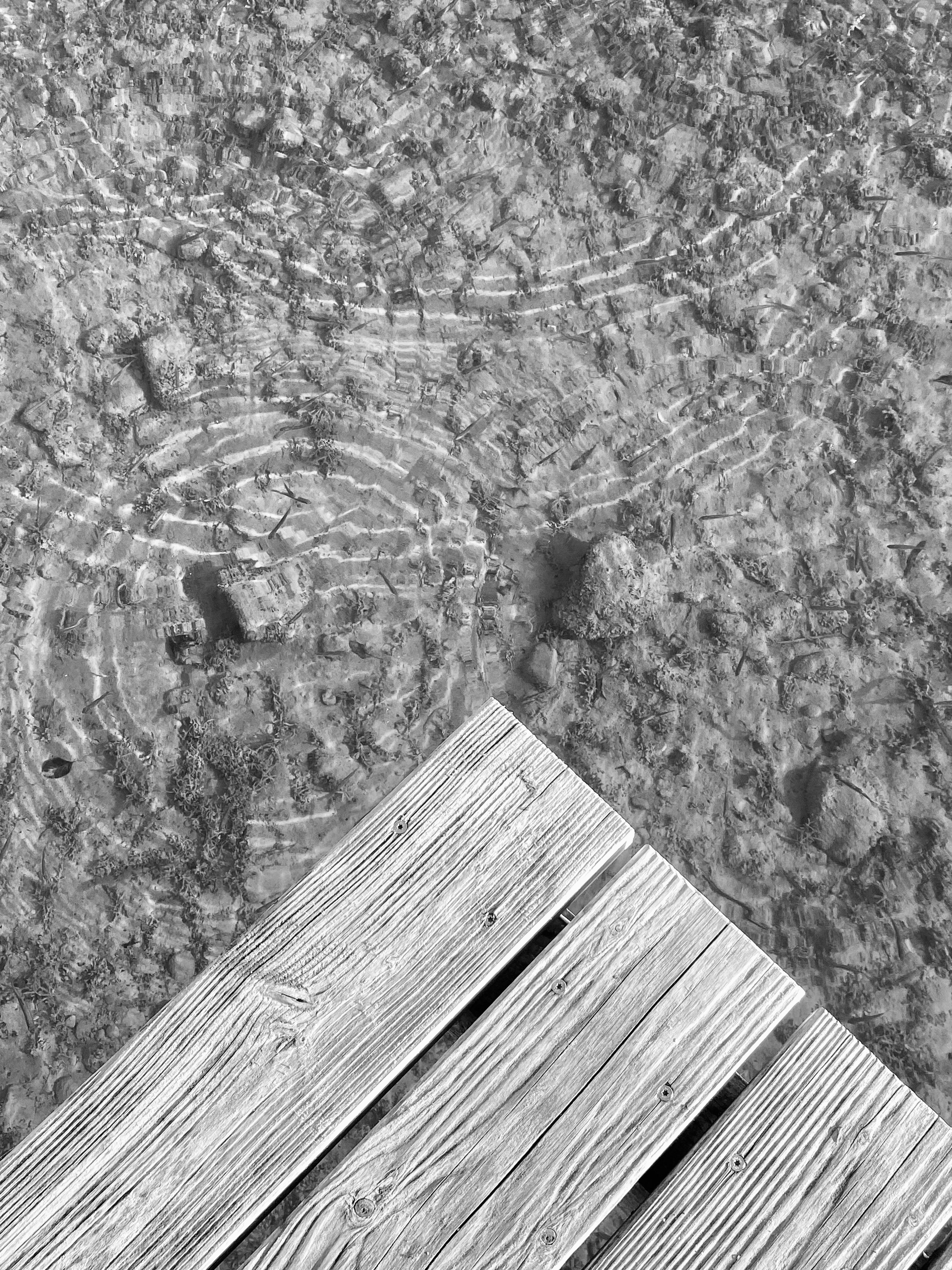 Wooden Deck Over Rippling Clear Water Surface · Free Stock Photo
