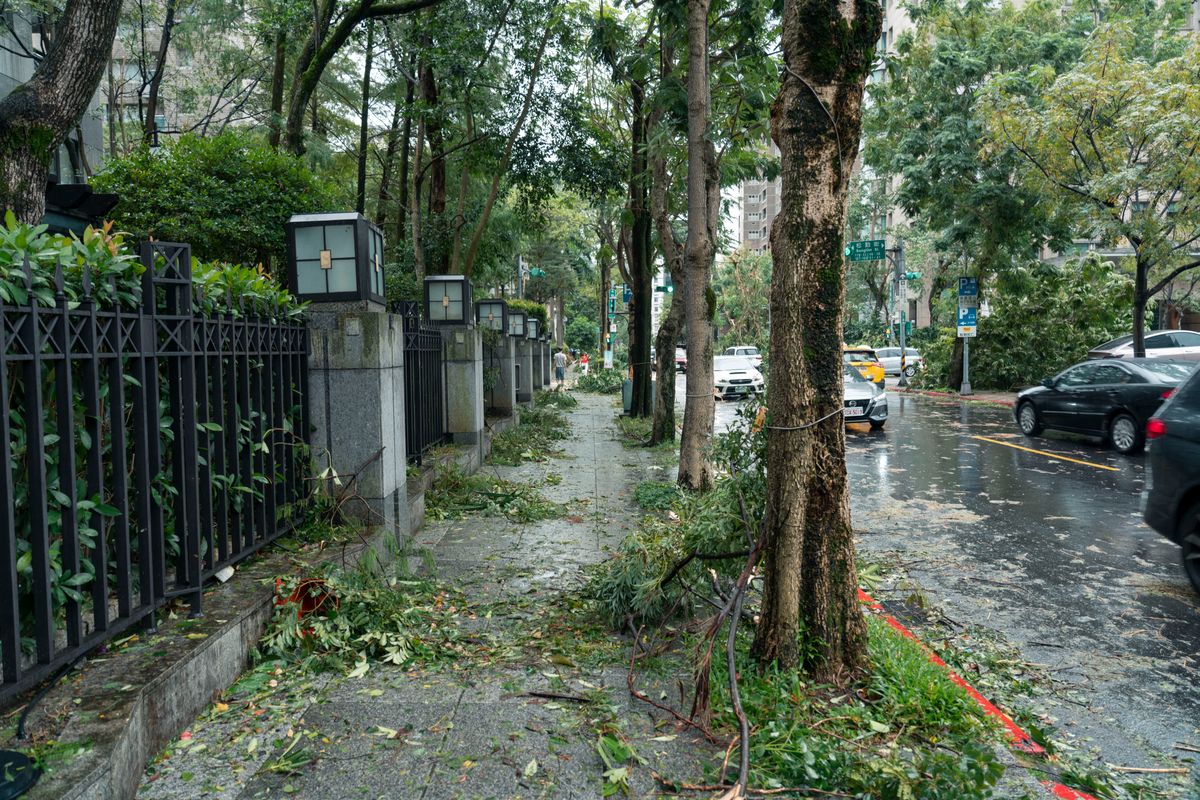 Typhoon Photos, Download The BEST Free Typhoon Stock Photos & HD Images