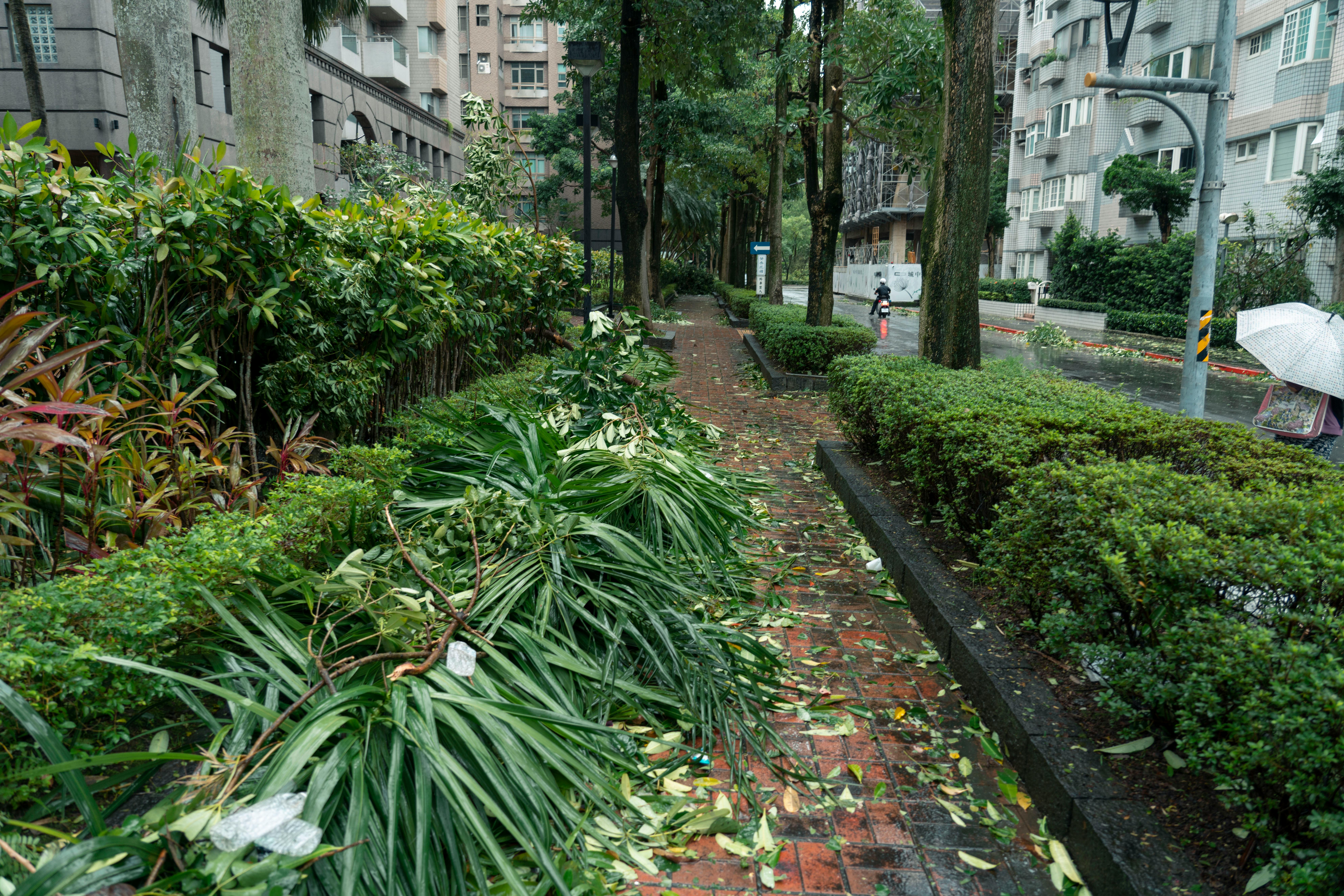 12345+Abc的吧一天吧一天helloworld.Square+Root+123helloworld.Www.Office.Com ...