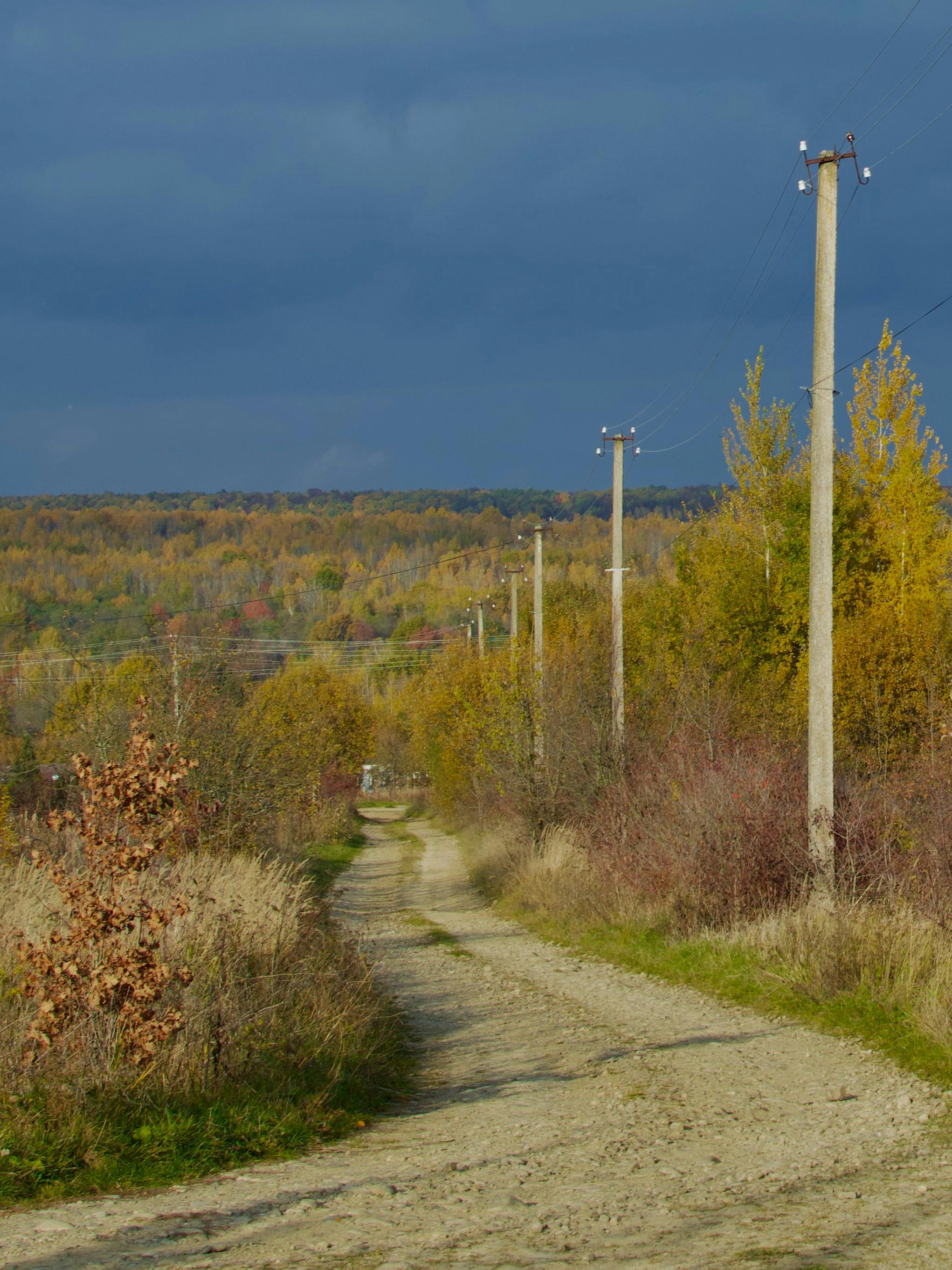 Country road · Free Stock Photo