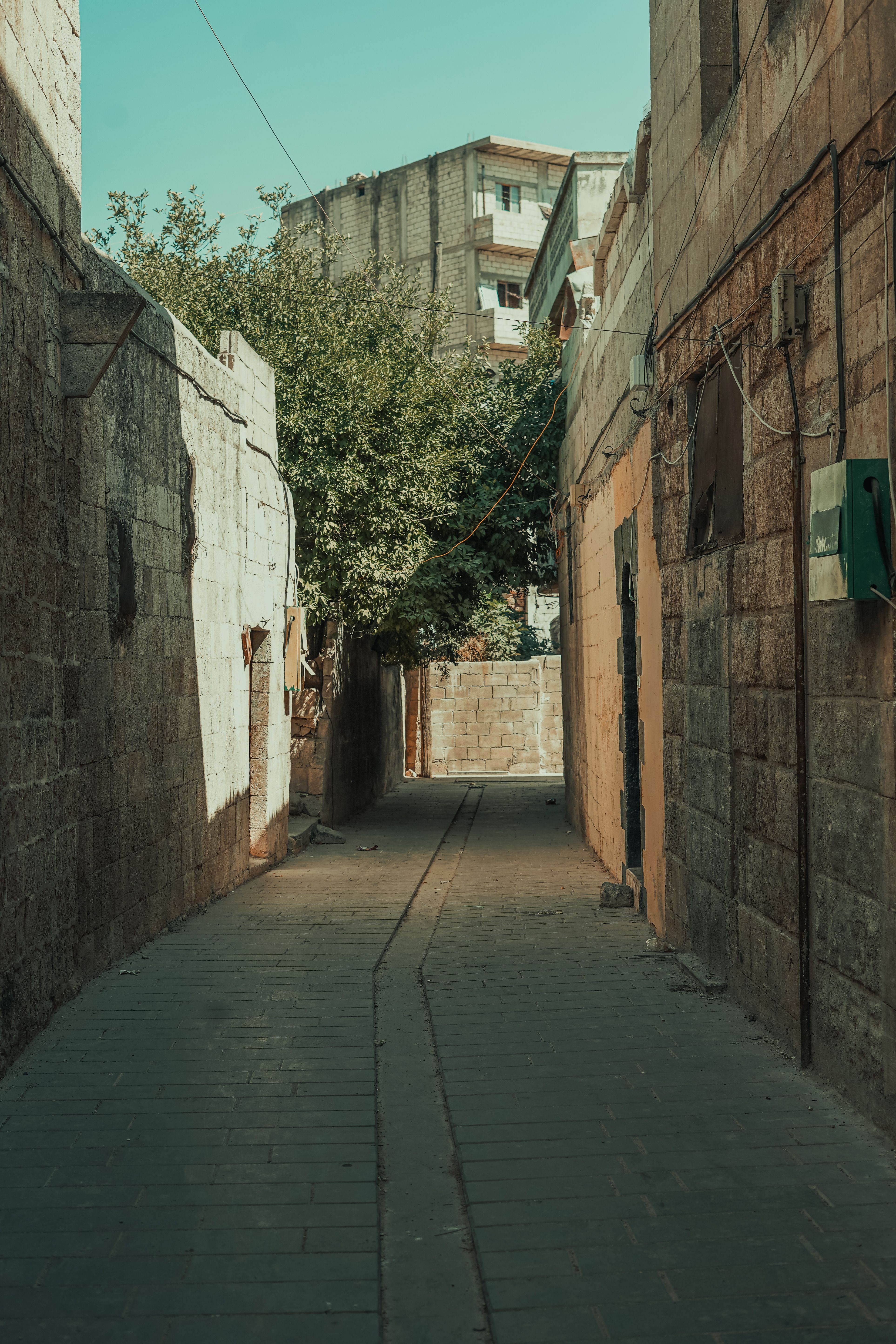 Typical Alley Photos, Download The BEST Free Typical Alley Stock Photos ...