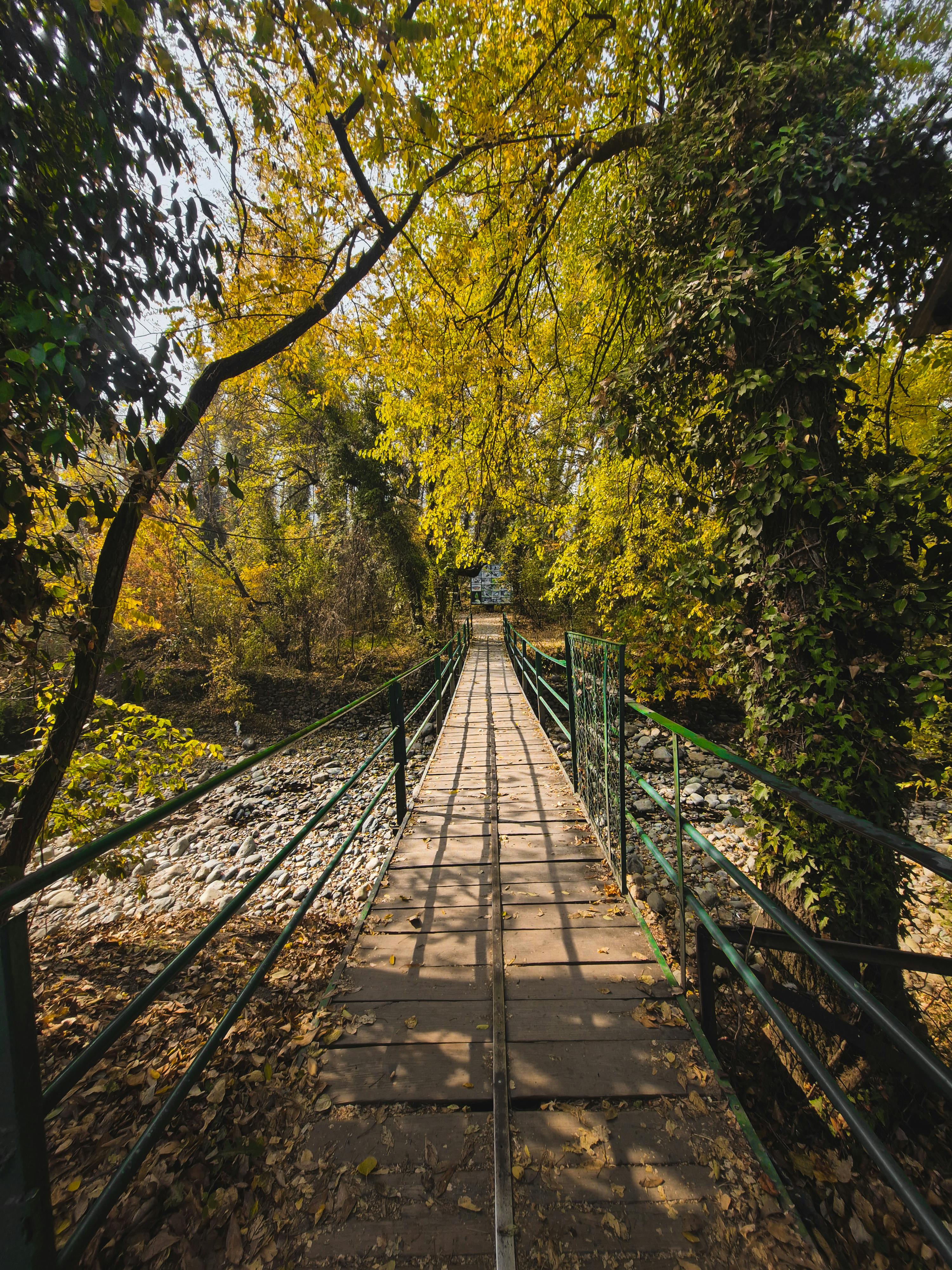 Brown Wooden Bridge Between Trees · Free Stock Photo