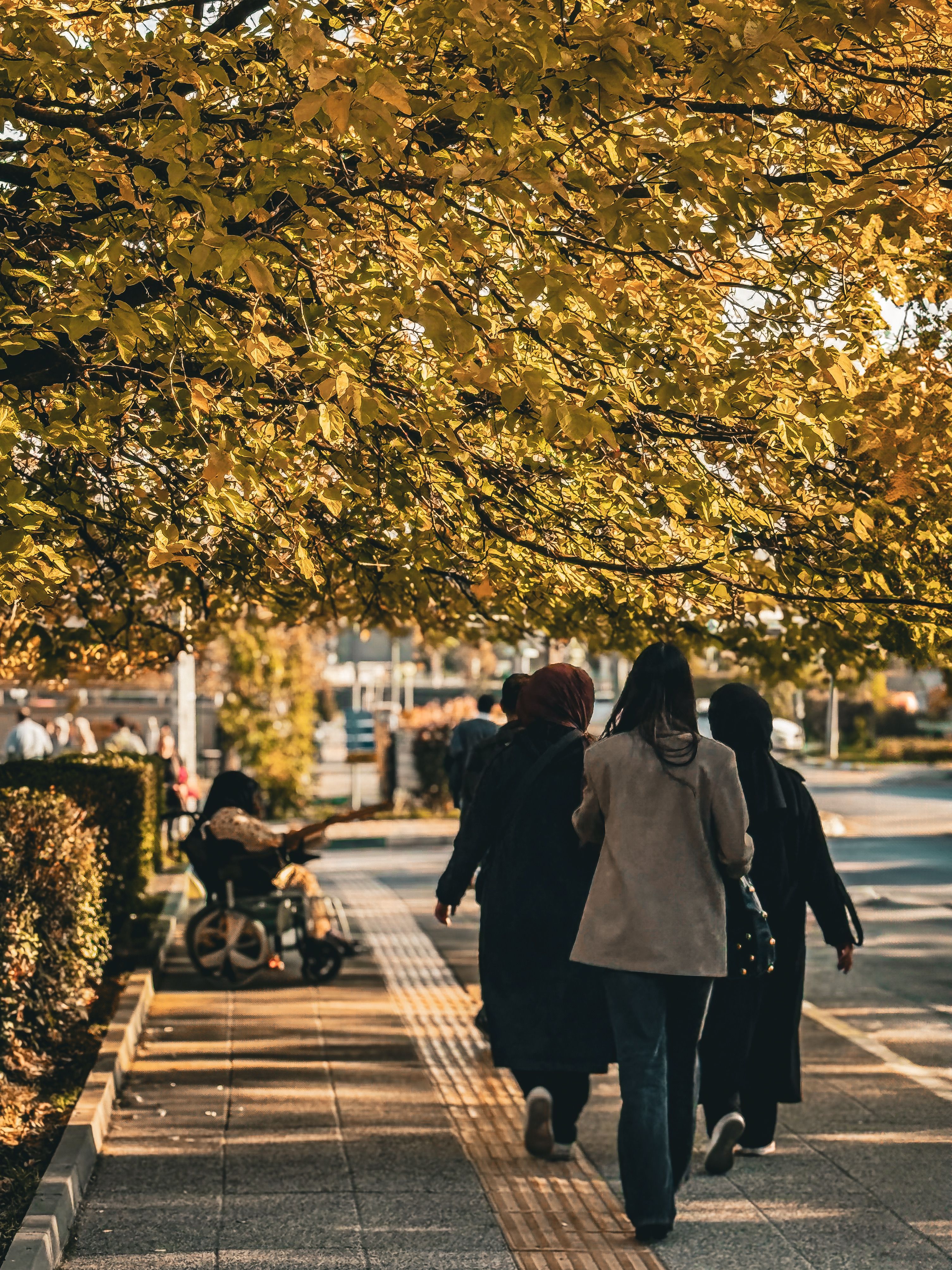 Autumn Scene in Bursa Türkiye with Strolling People · Free Stock Photo