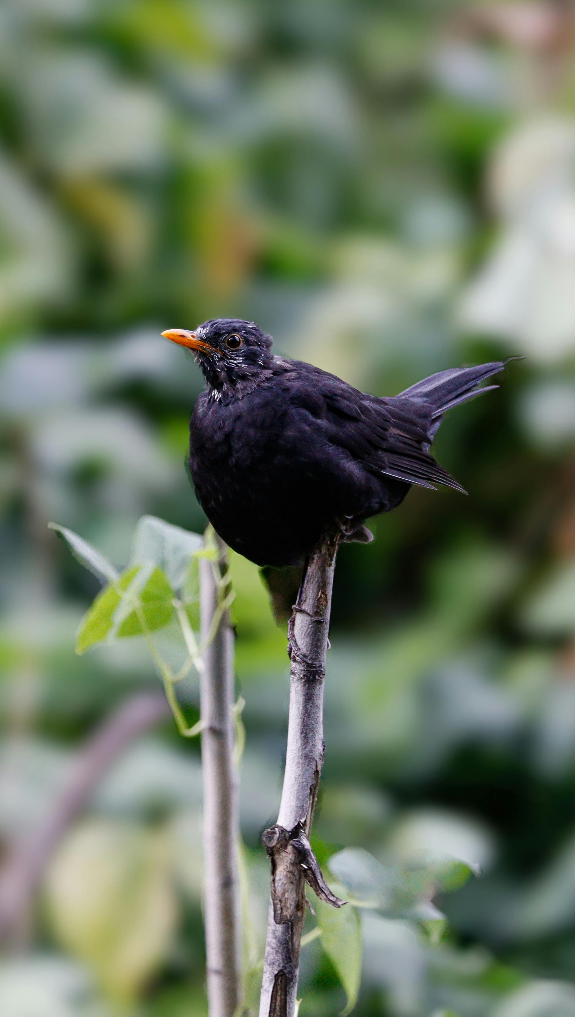 Pok Photos, Download The BEST Free Pok Stock Photos & HD Images