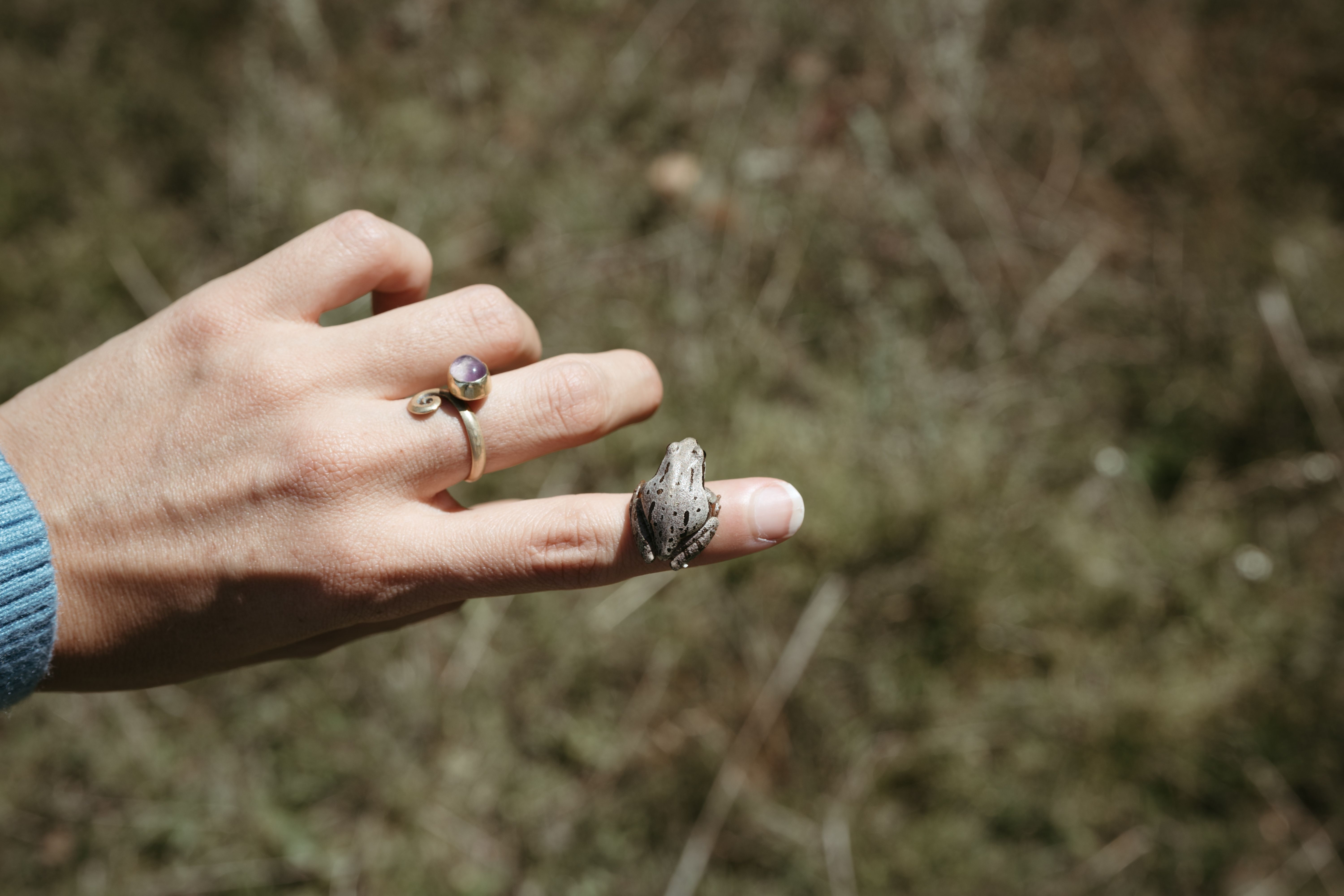 Hand with Gold Rings · Free Stock Photo