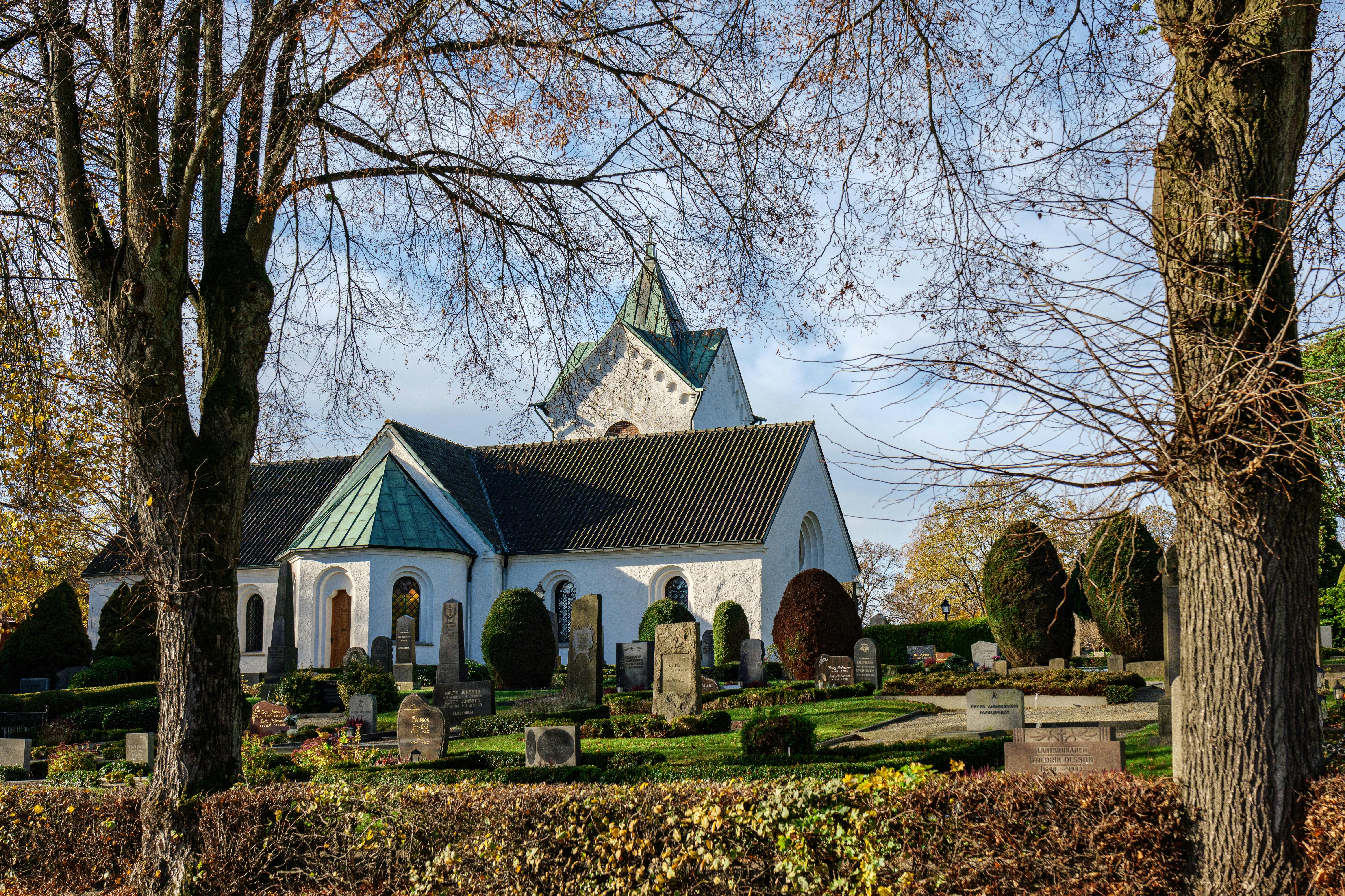 Graveyard Trees Photos, Download The BEST Free Graveyard Trees Stock ...