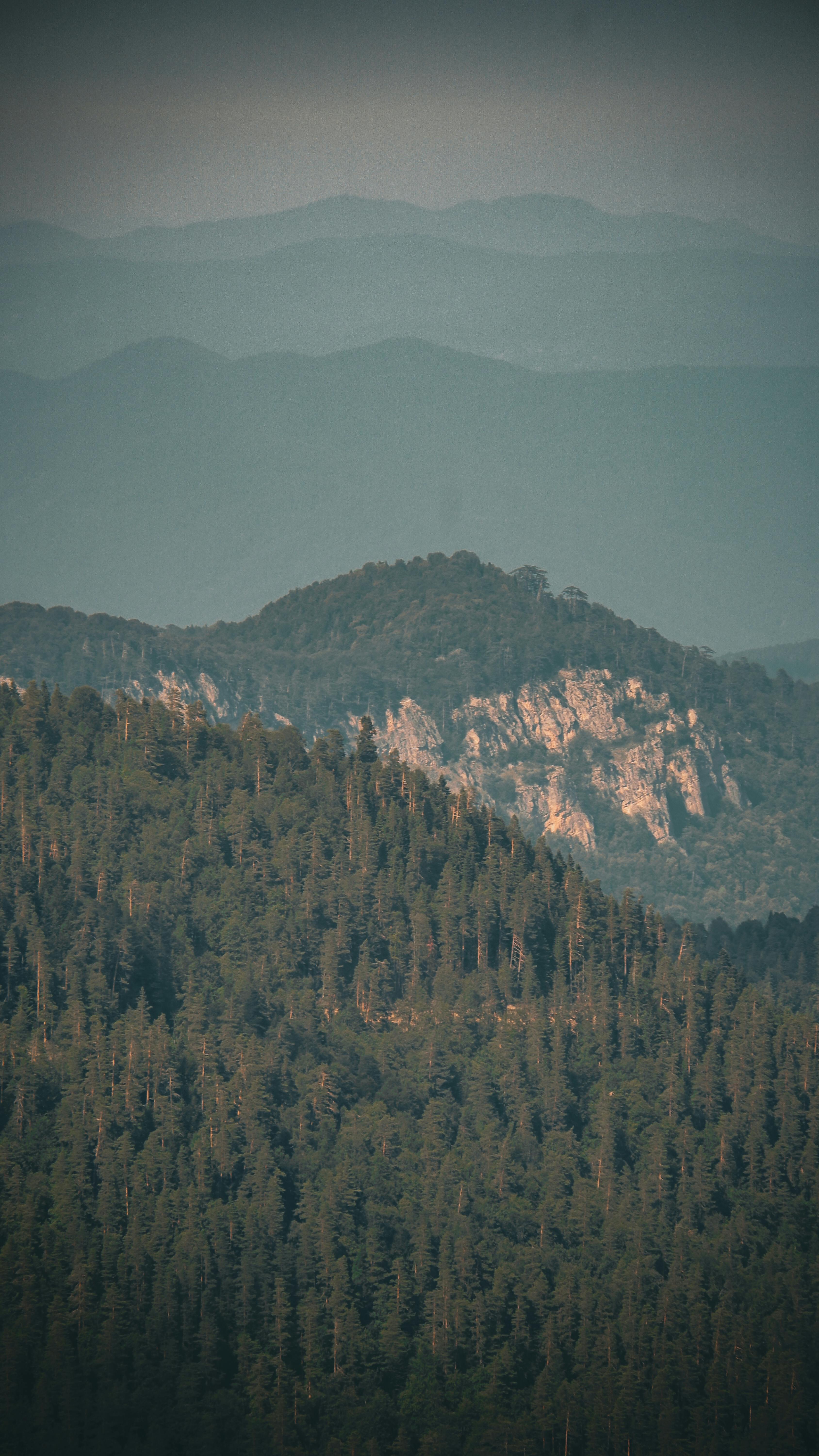 Serene Forested Mountain Landscape in Bolu · Free Stock Photo