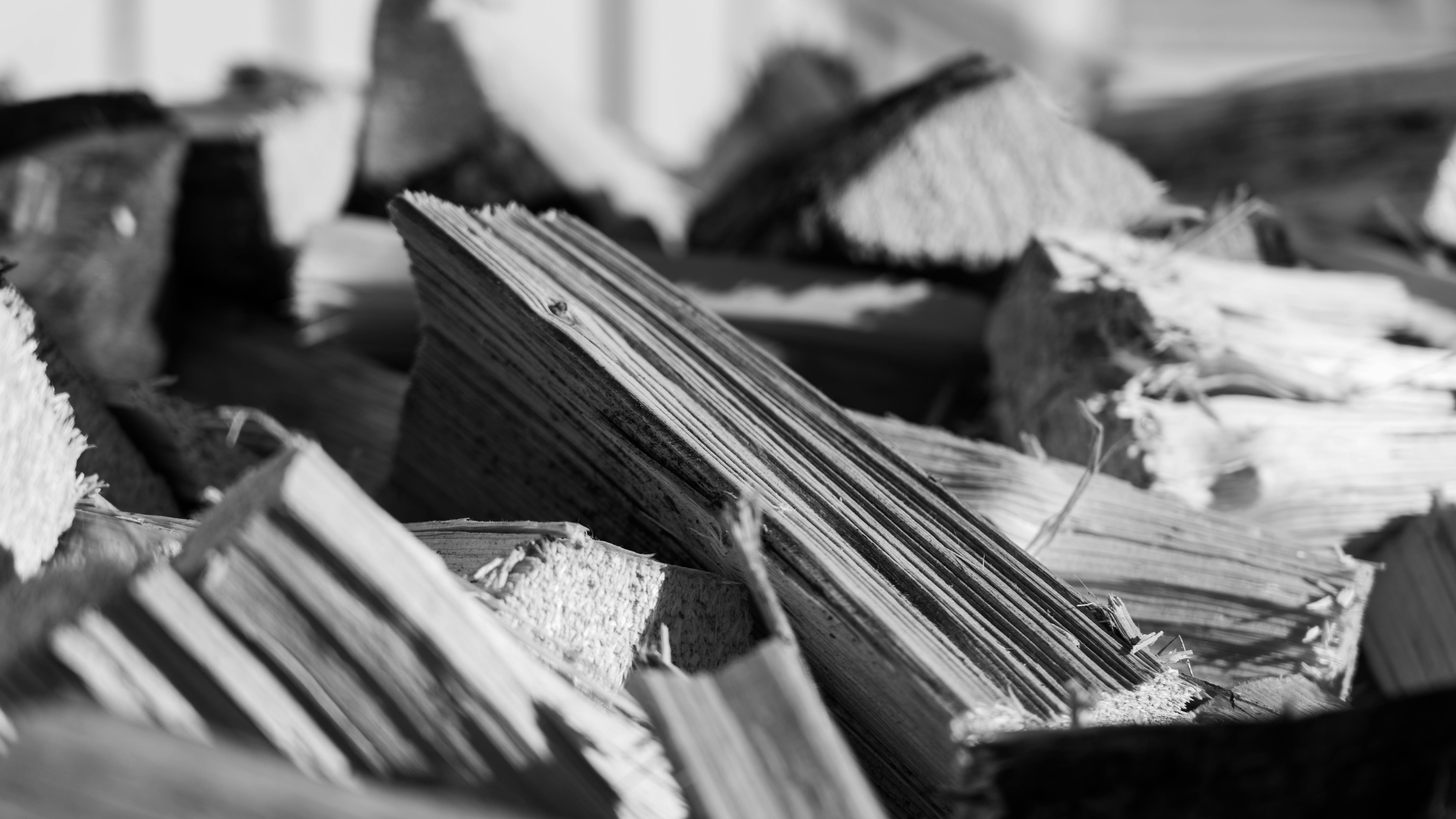 Flo Texture Photos, Download The BEST Free Flo Texture Stock Photos ...