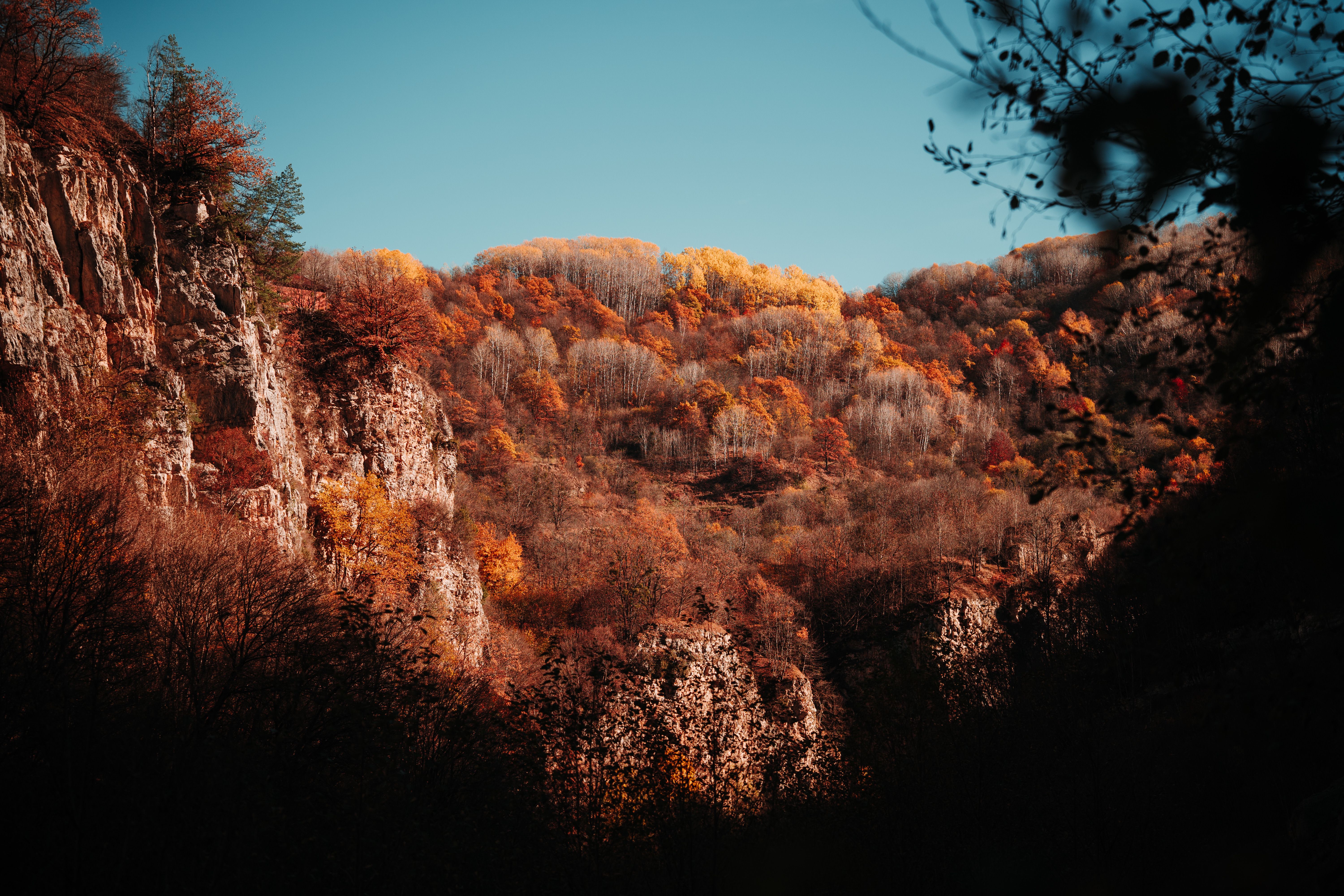 Stunning Autumn Forest Landscape with Rocky Cliffs · Free Stock Photo