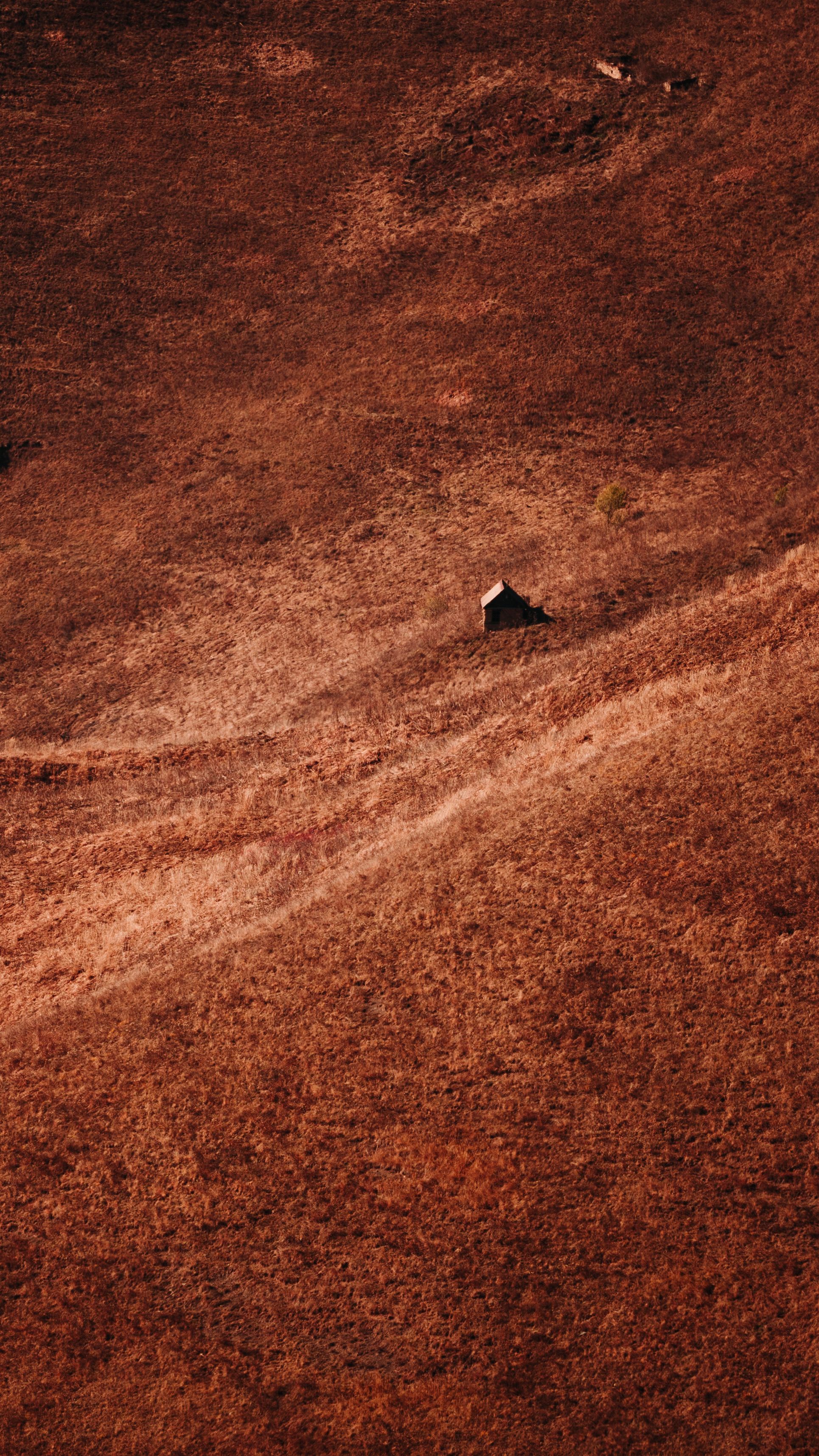 Isolated Cabin on Autumn Hillside Aerial View · Free Stock Photo