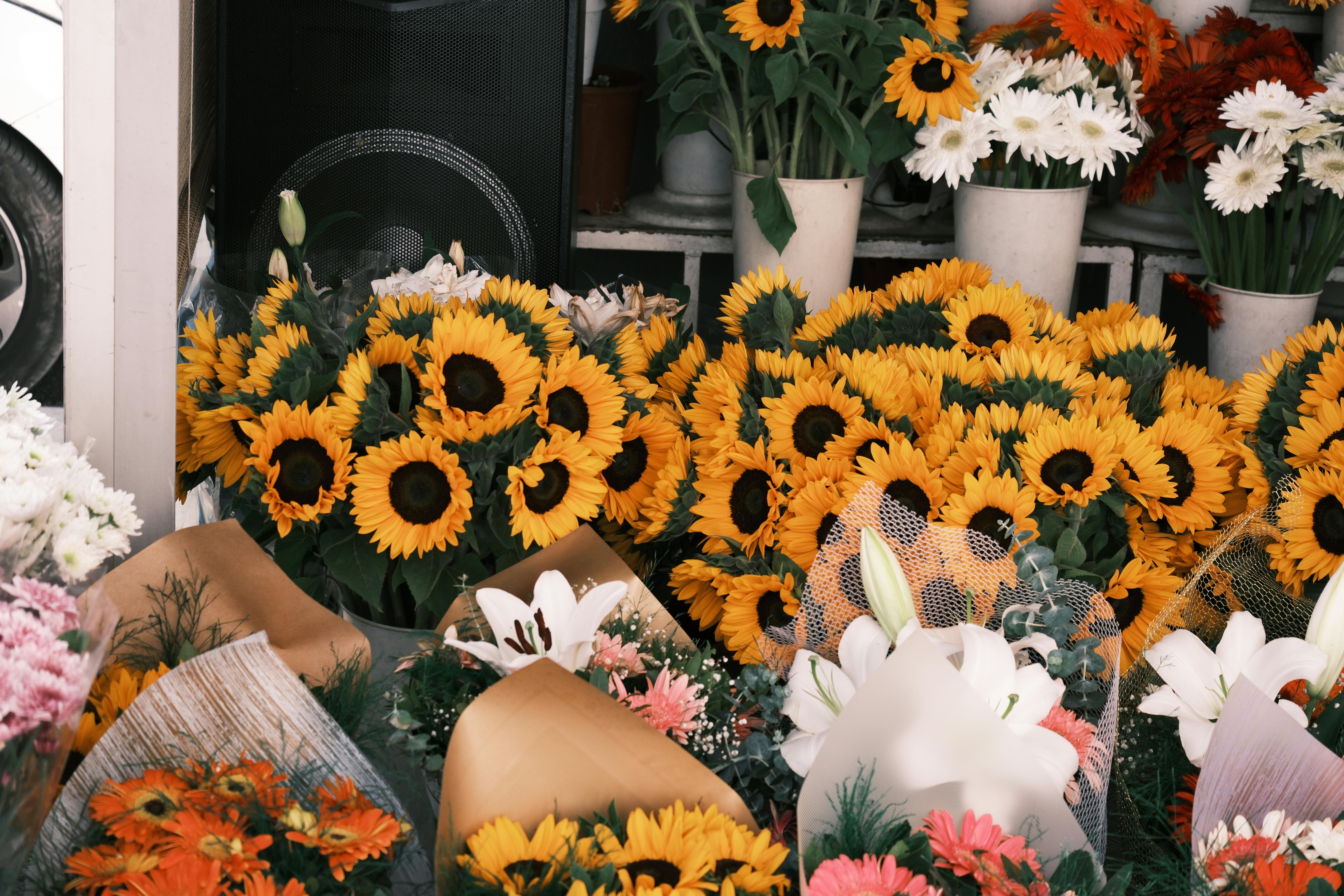 Colorful Flower Shop Display with Sunflowers · Free Stock Photo