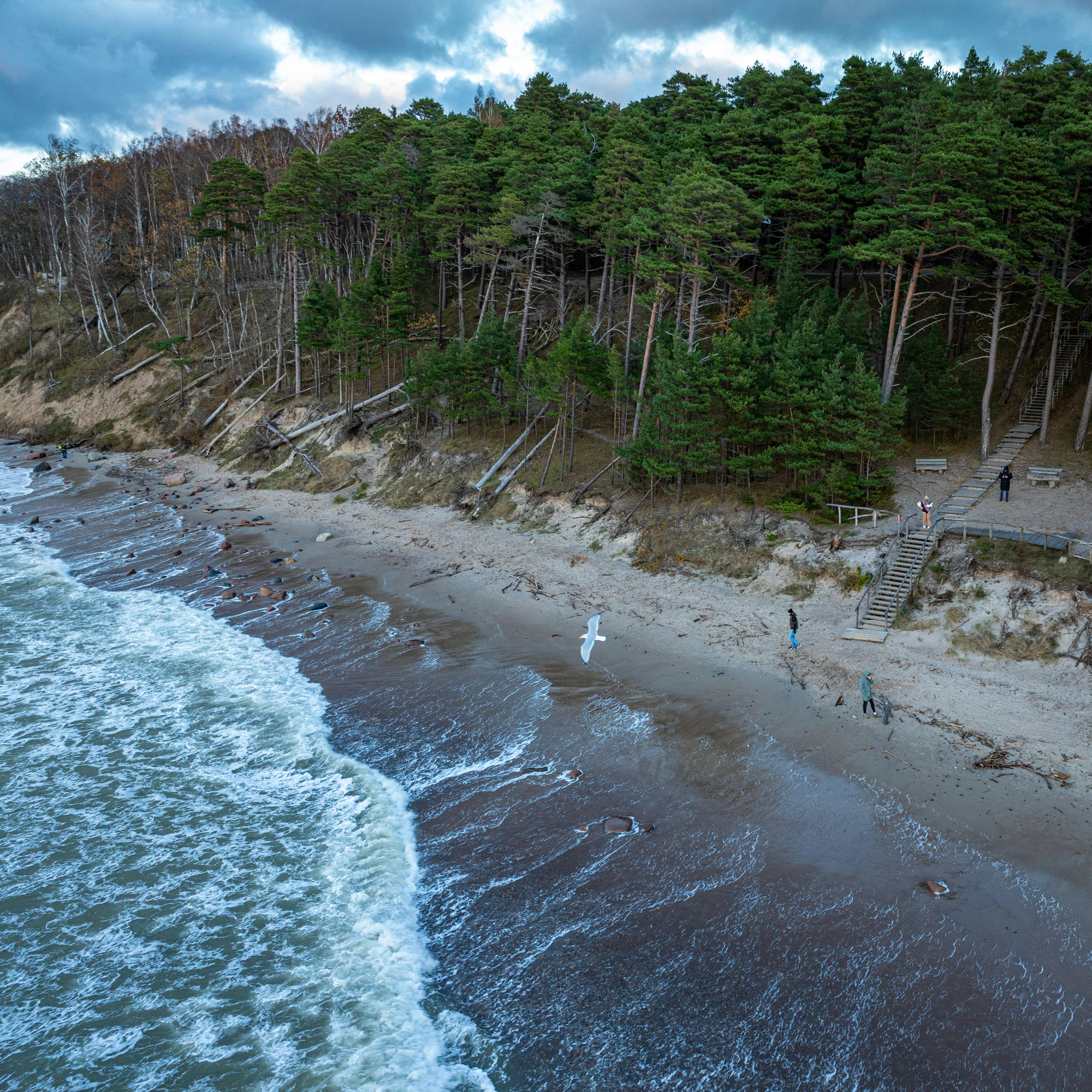 Scenic Aerial View of Lithuanian Baltic Coastline · Free Stock Photo