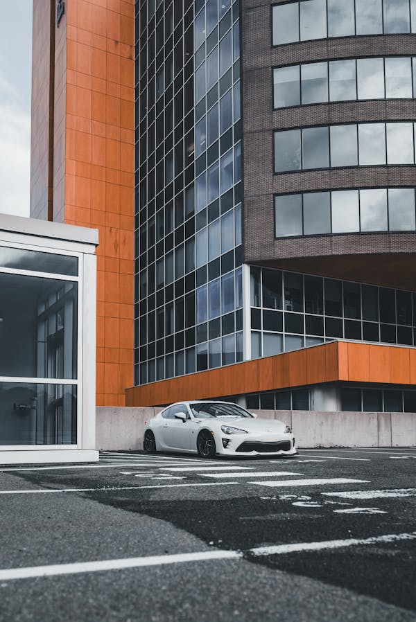 White Color Photos, Download The BEST Free White Color Stock Photos ...