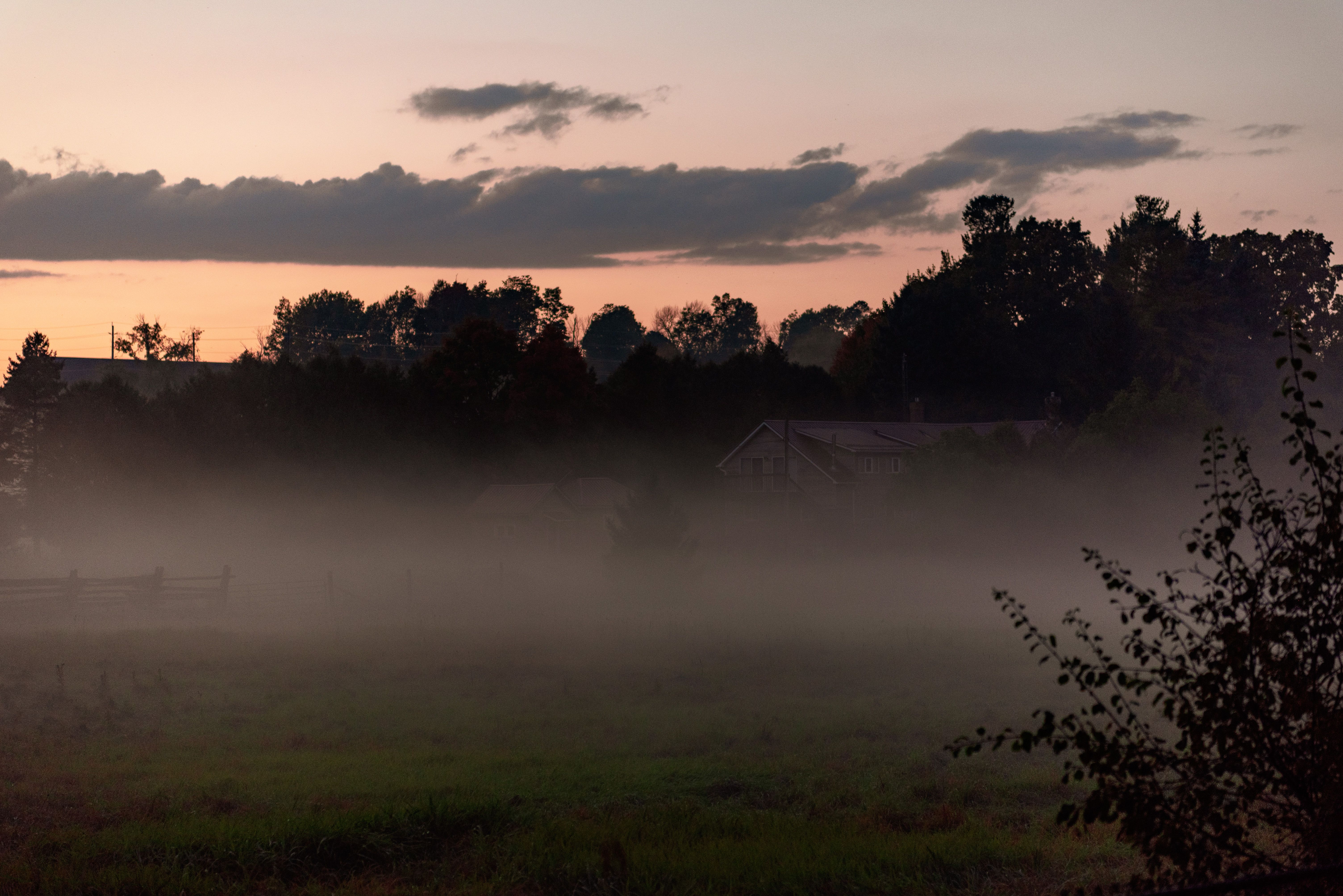 Serene Countryside Morning with Mist and Fog · Free Stock Photo