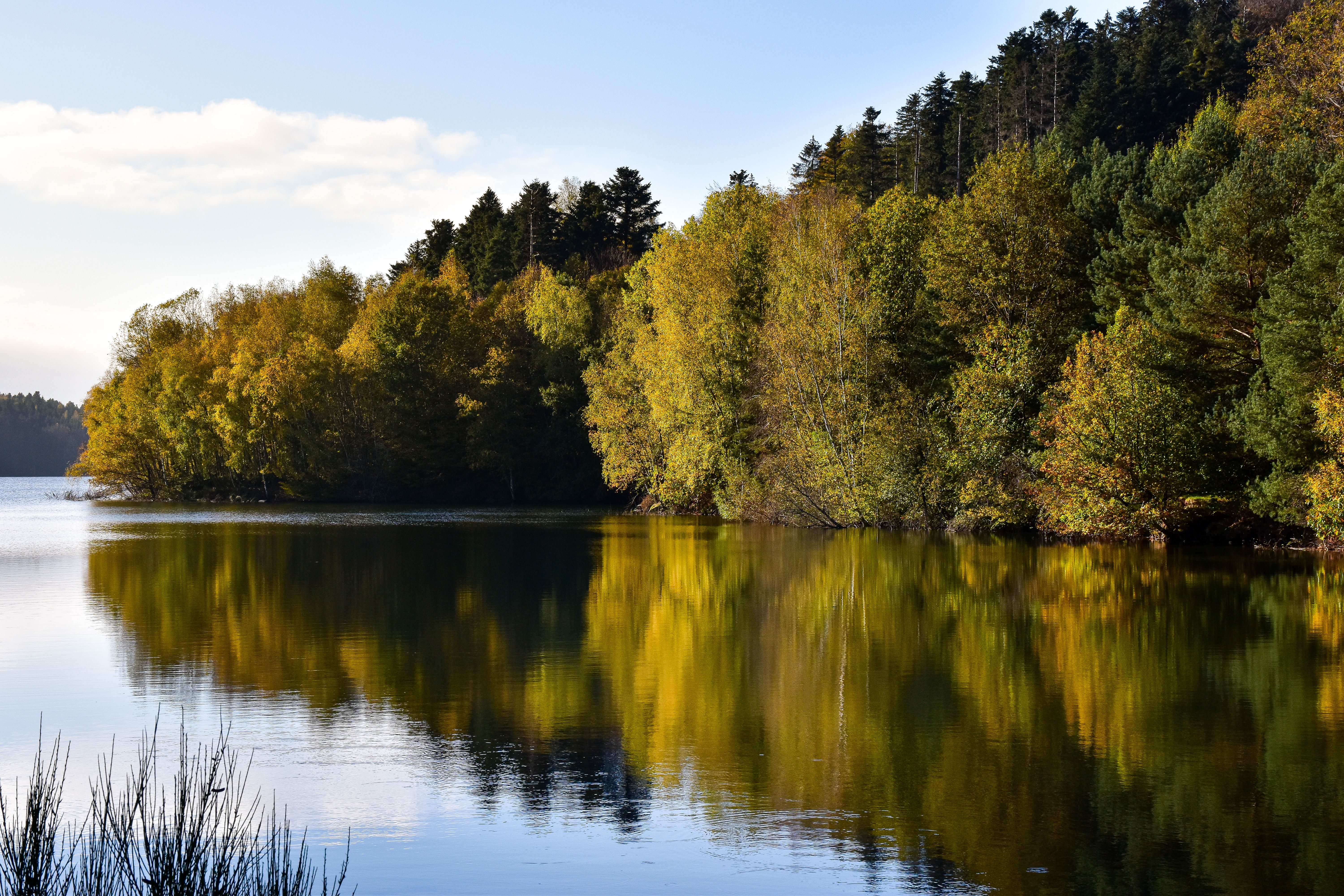 Scenic Autumn Reflections at Pierre-Percée Lake · Free Stock Photo
