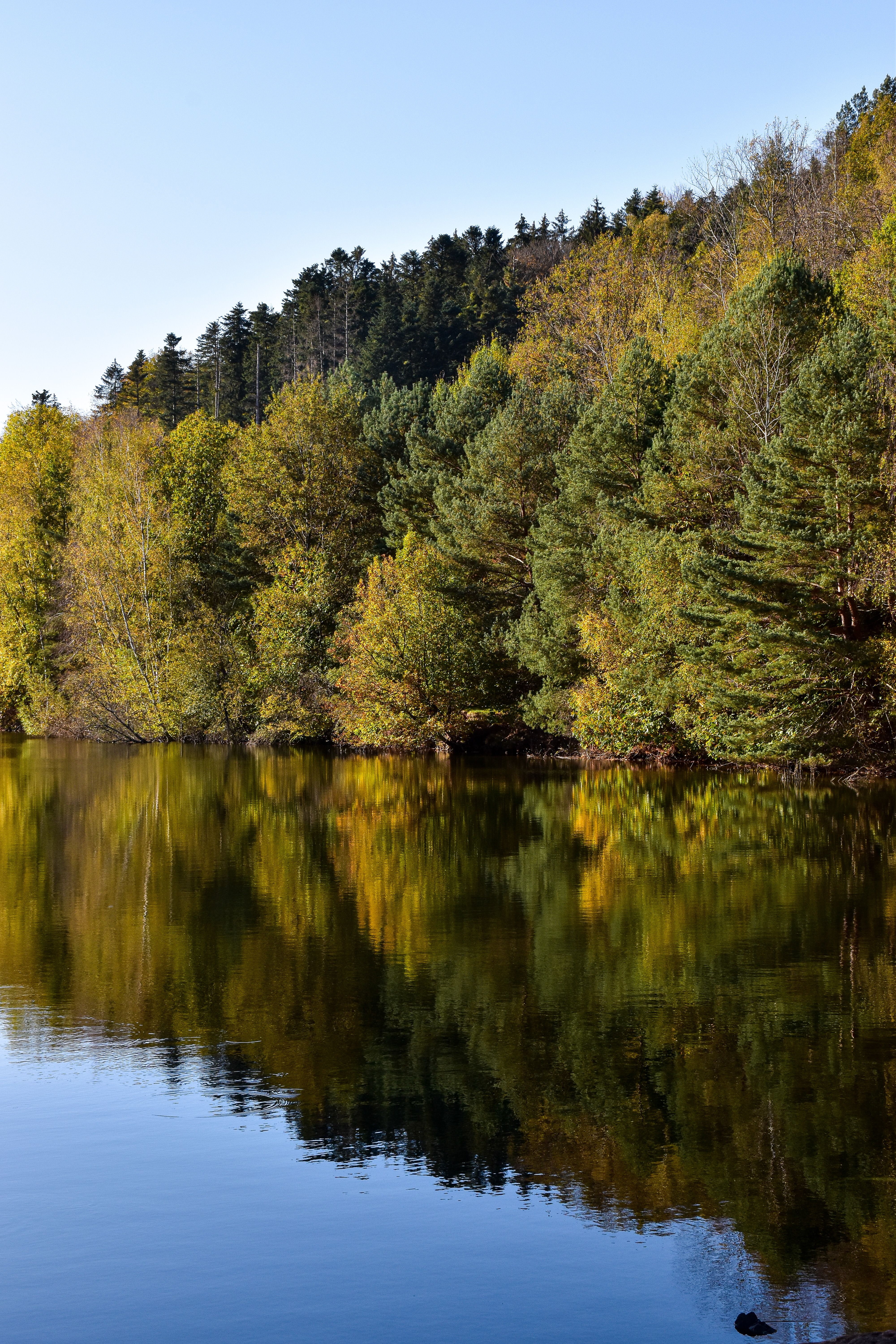 Serene Autumn Reflections in Pierre-Percée Lake · Free Stock Photo