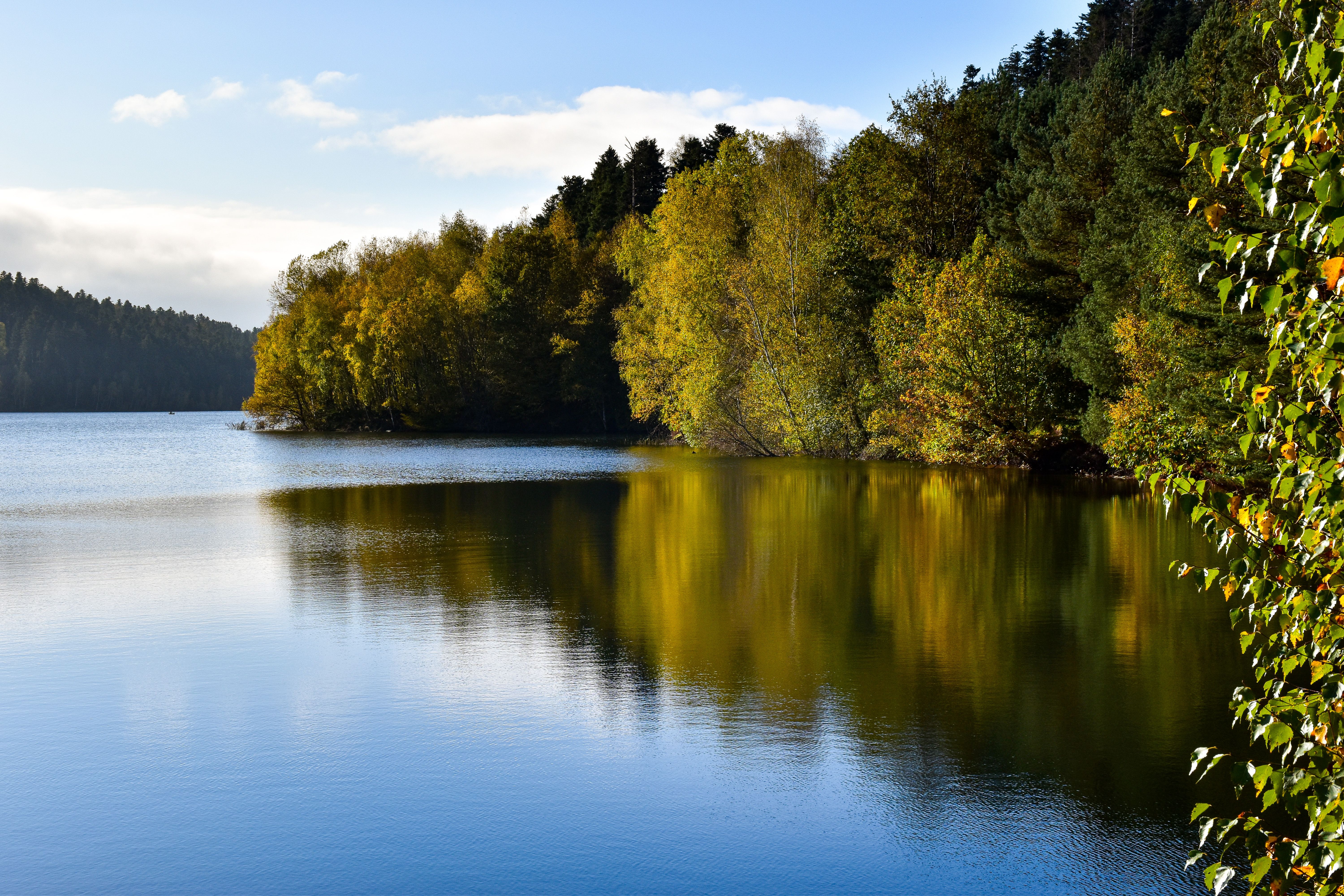 Scenic Autumn Reflections at Pierre-Percée Lake · Free Stock Photo