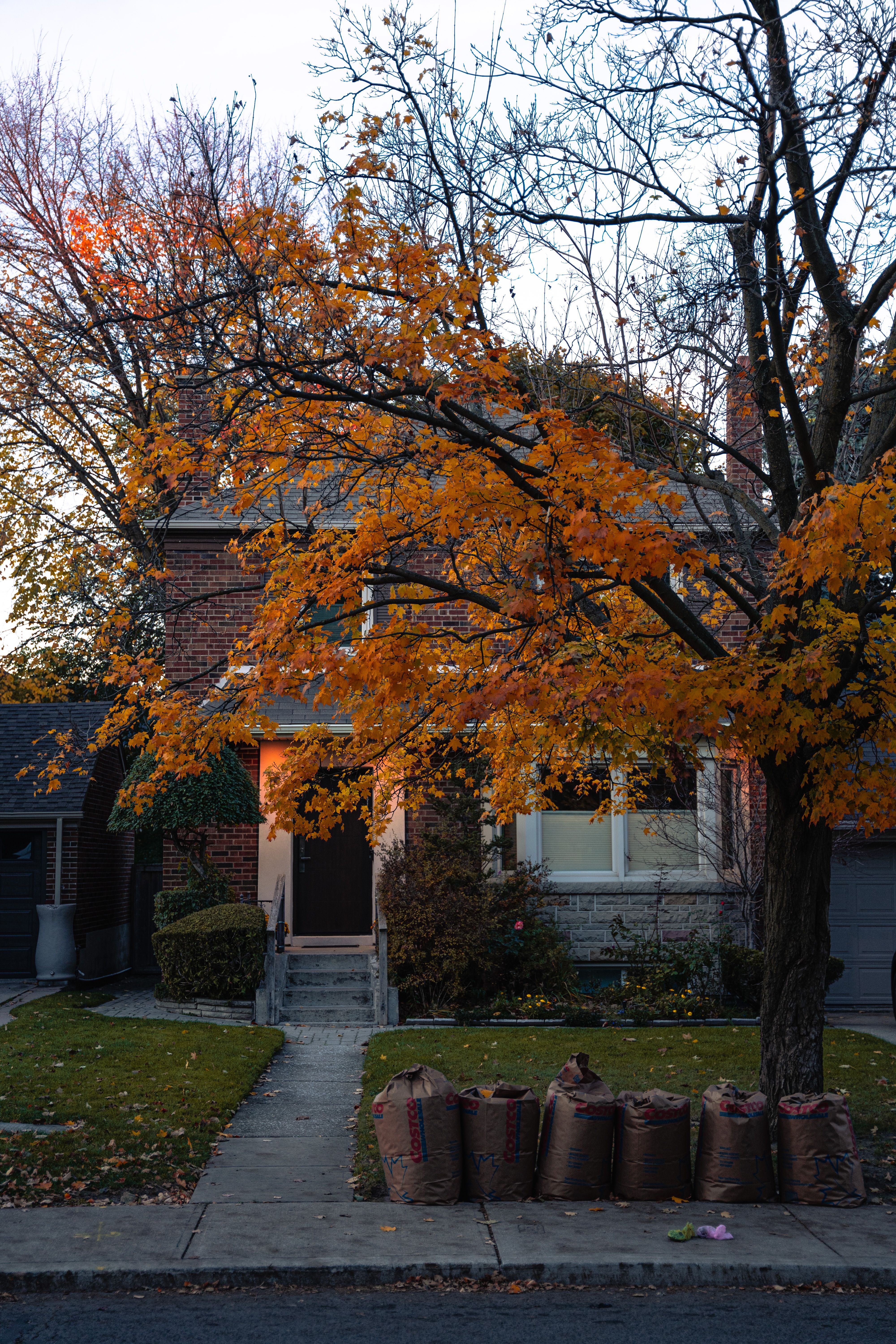 Charming Brick House with Autumn Foliage · Free Stock Photo
