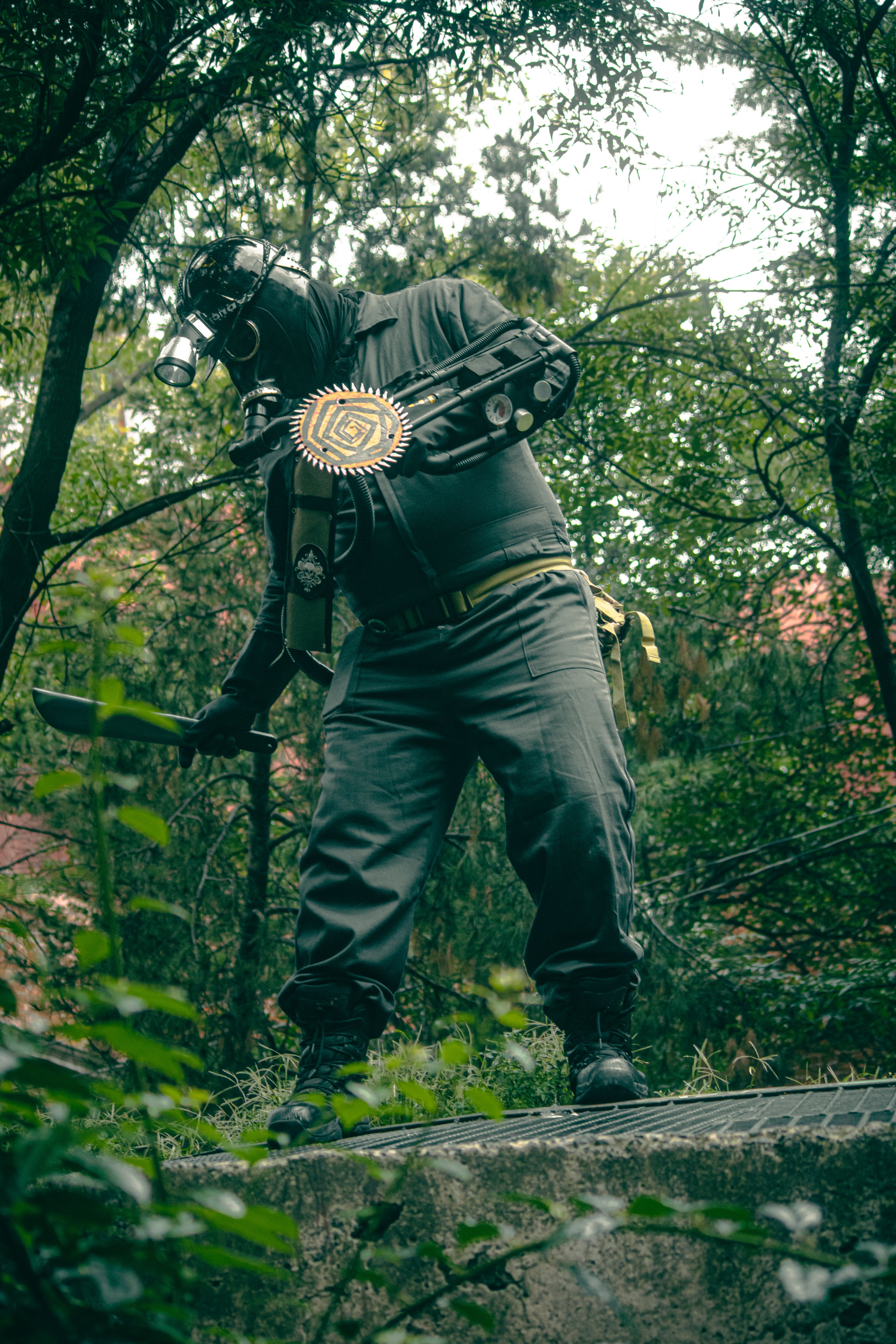 Intense Outdoor Cosplay Scene in Forest · Free Stock Photo