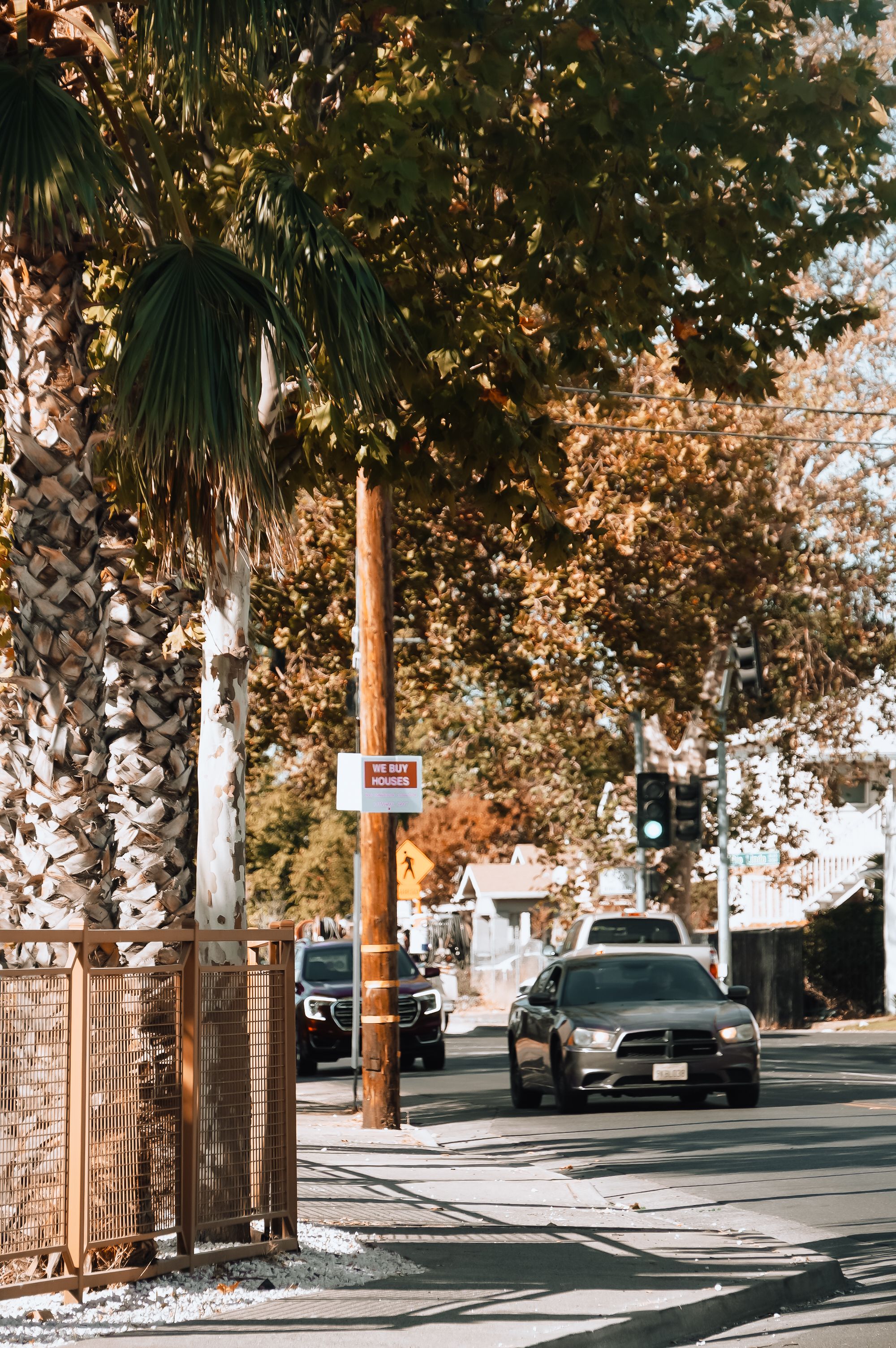 Urban Street Scene with Cars and Traffic Lights · Free Stock Photo