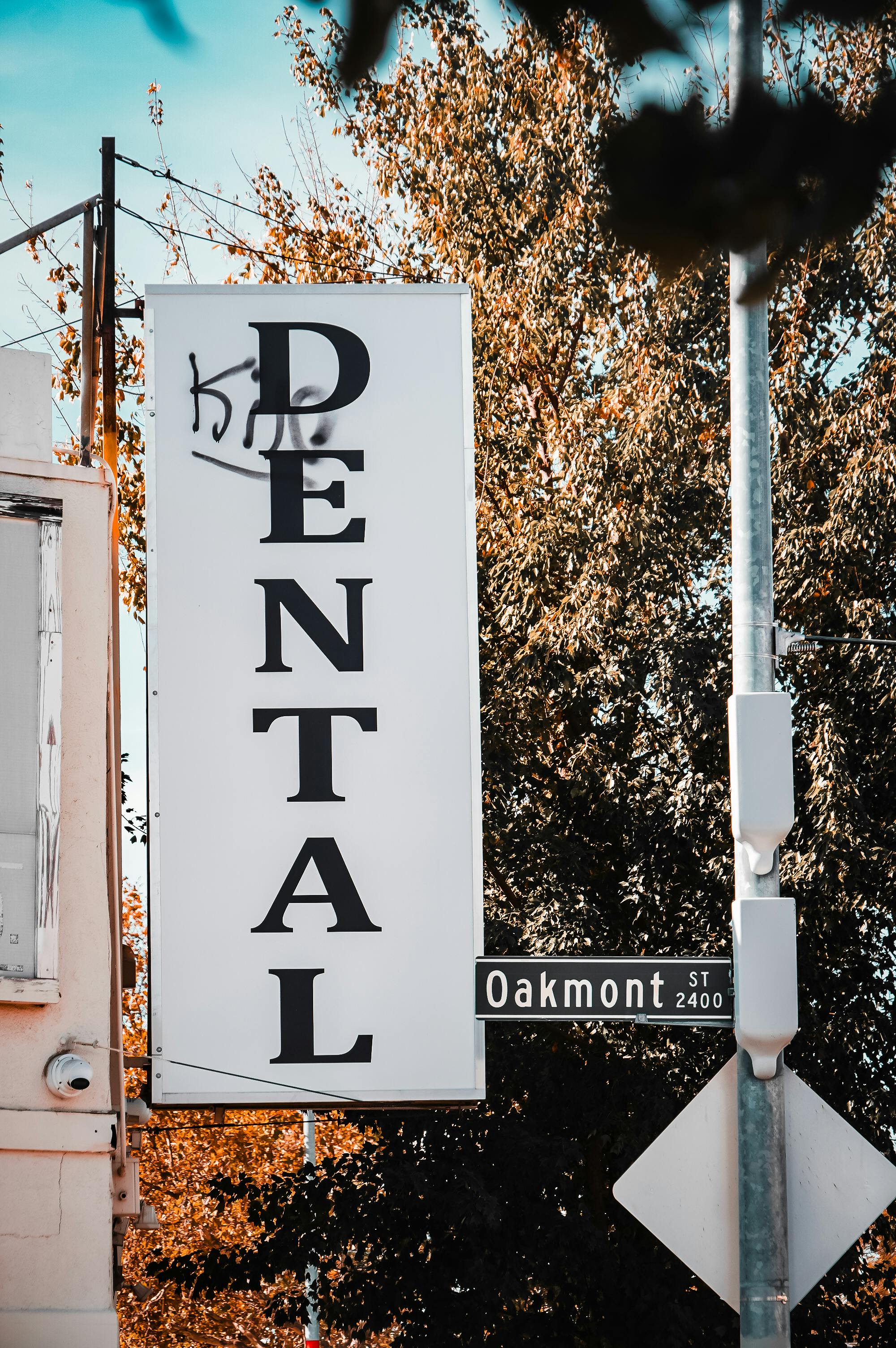 Autumn Dental Photos, Download The BEST Free Autumn Dental Stock Photos ...