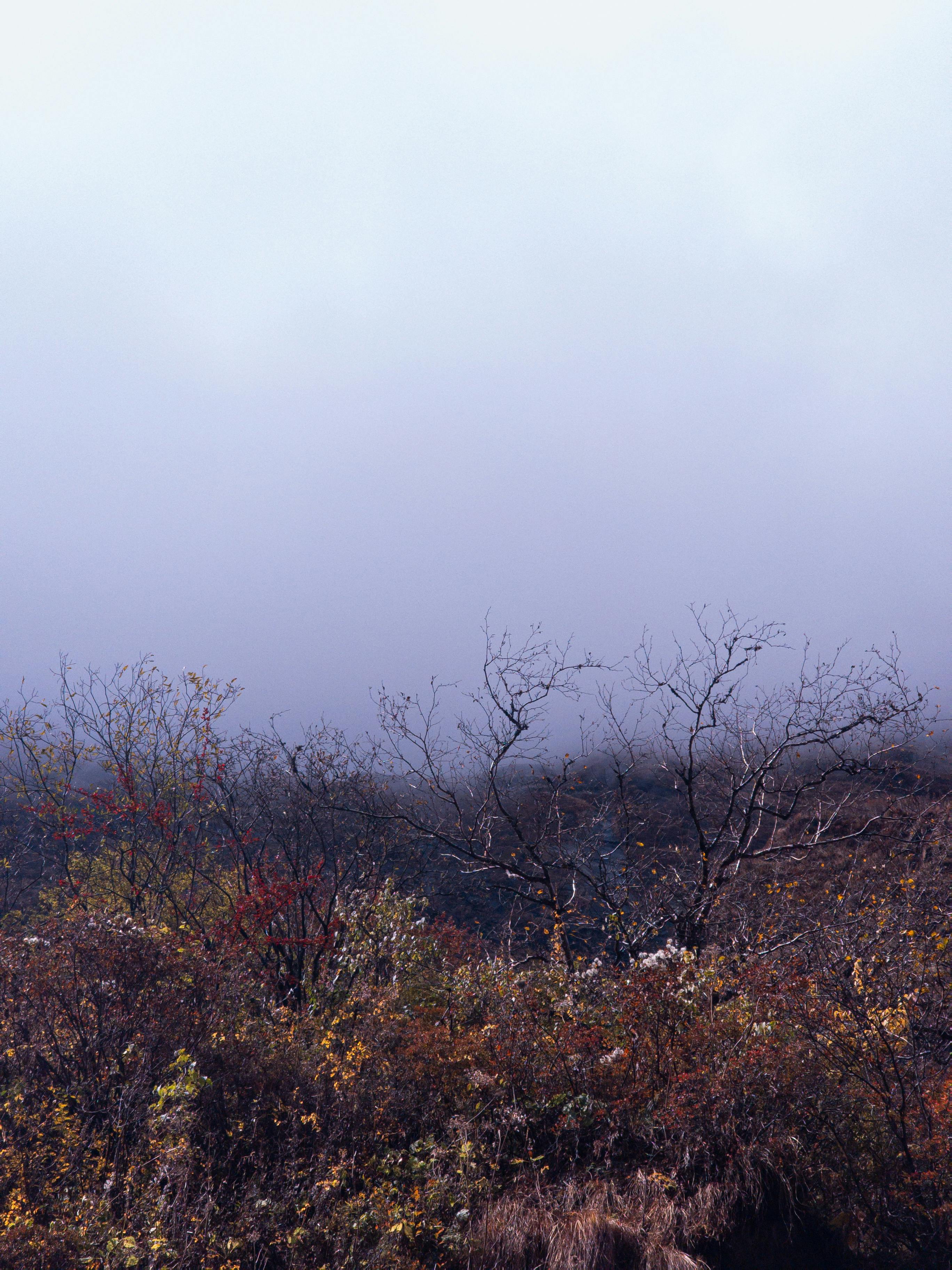 Undisturbed Habitat Photos, Download The BEST Free Undisturbed Habitat ...