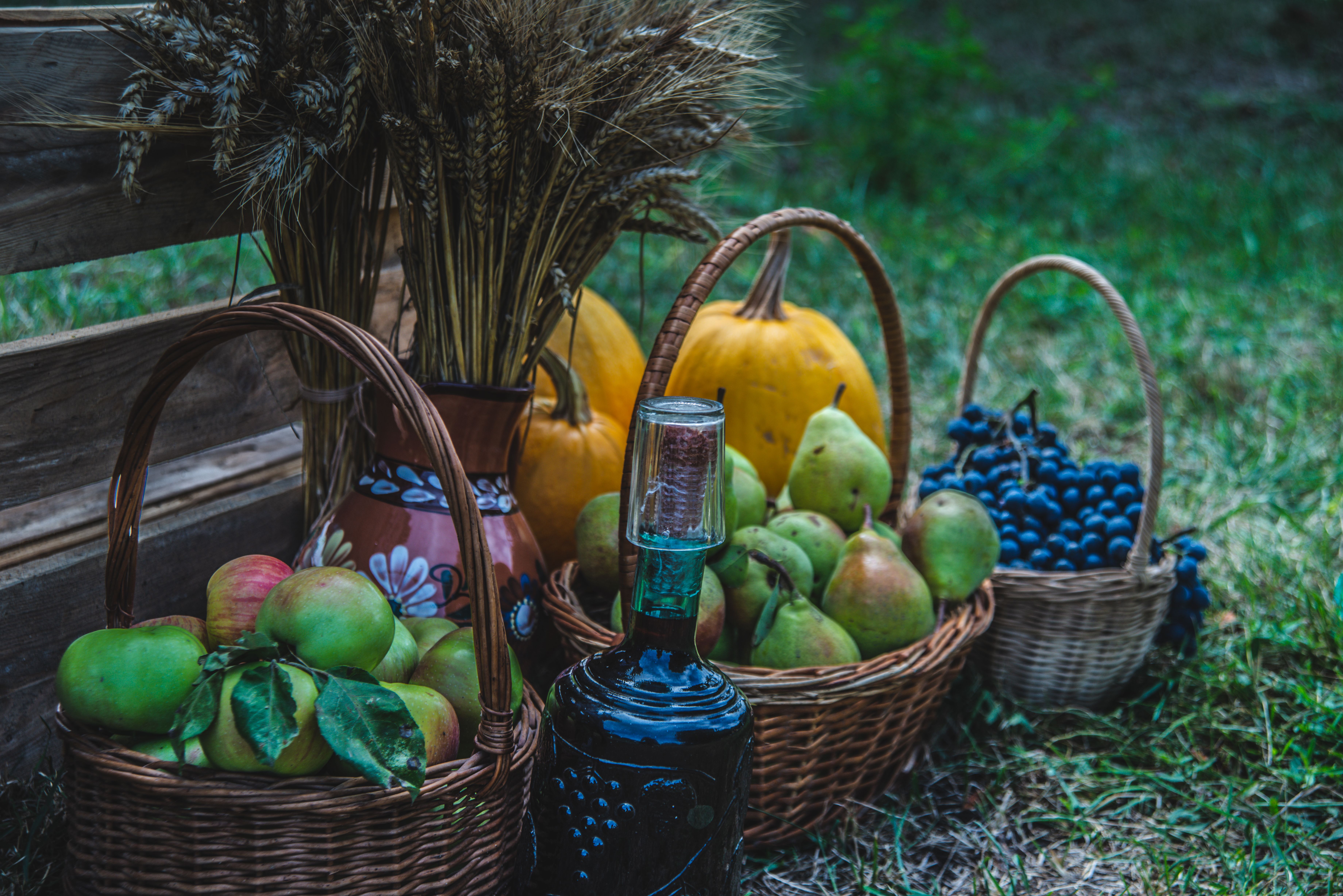 Autumn Harvest Display with Apples and Pumpkins · Free Stock Photo
