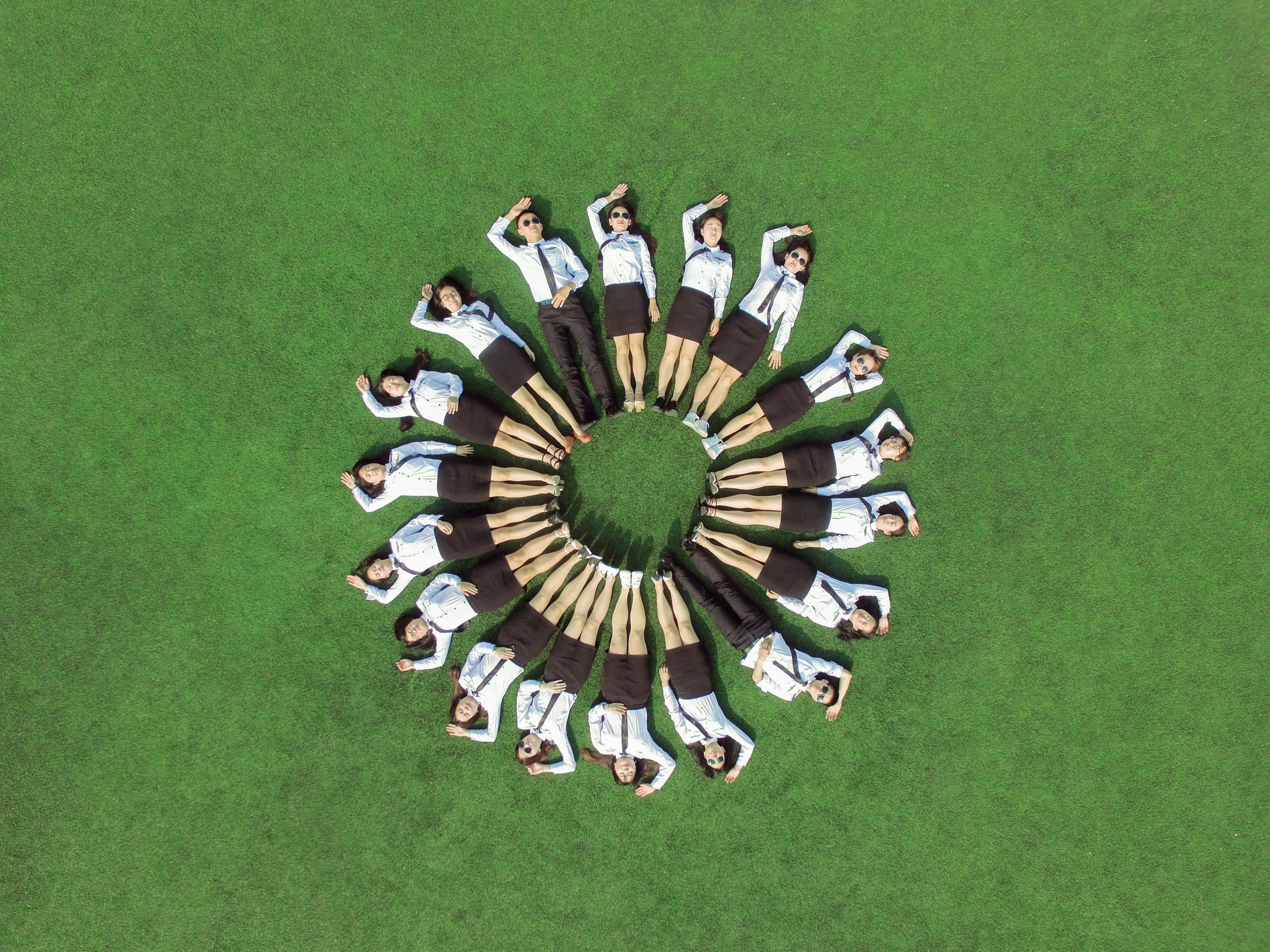 Aerial View of People Forming a Circle on Grass · Free Stock Photo