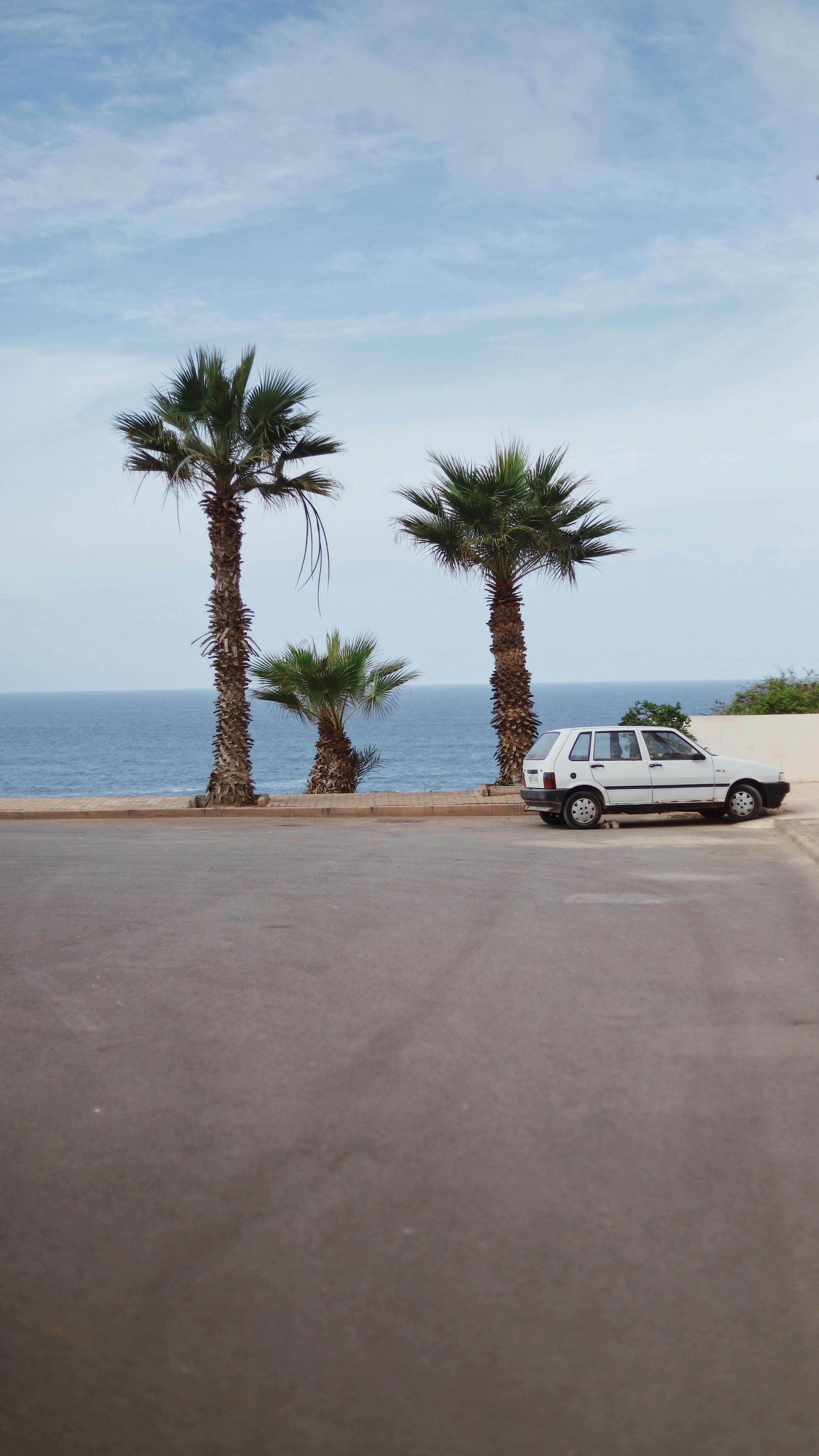 Driveway Pics Photos, Download The BEST Free Driveway Pics Stock Photos ...