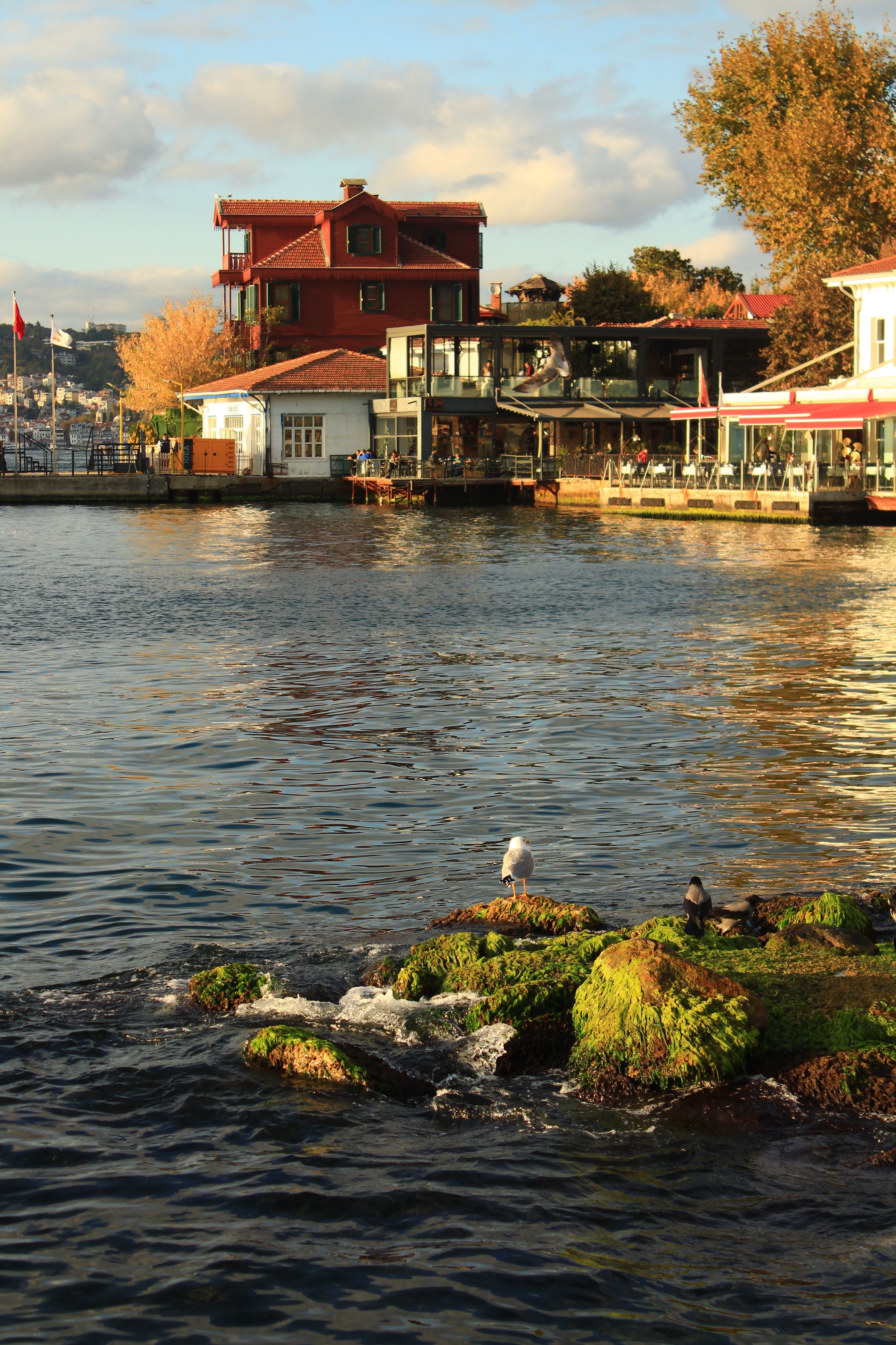 Charming Waterside Cafe in Istanbul at Sunset · Free Stock Photo
