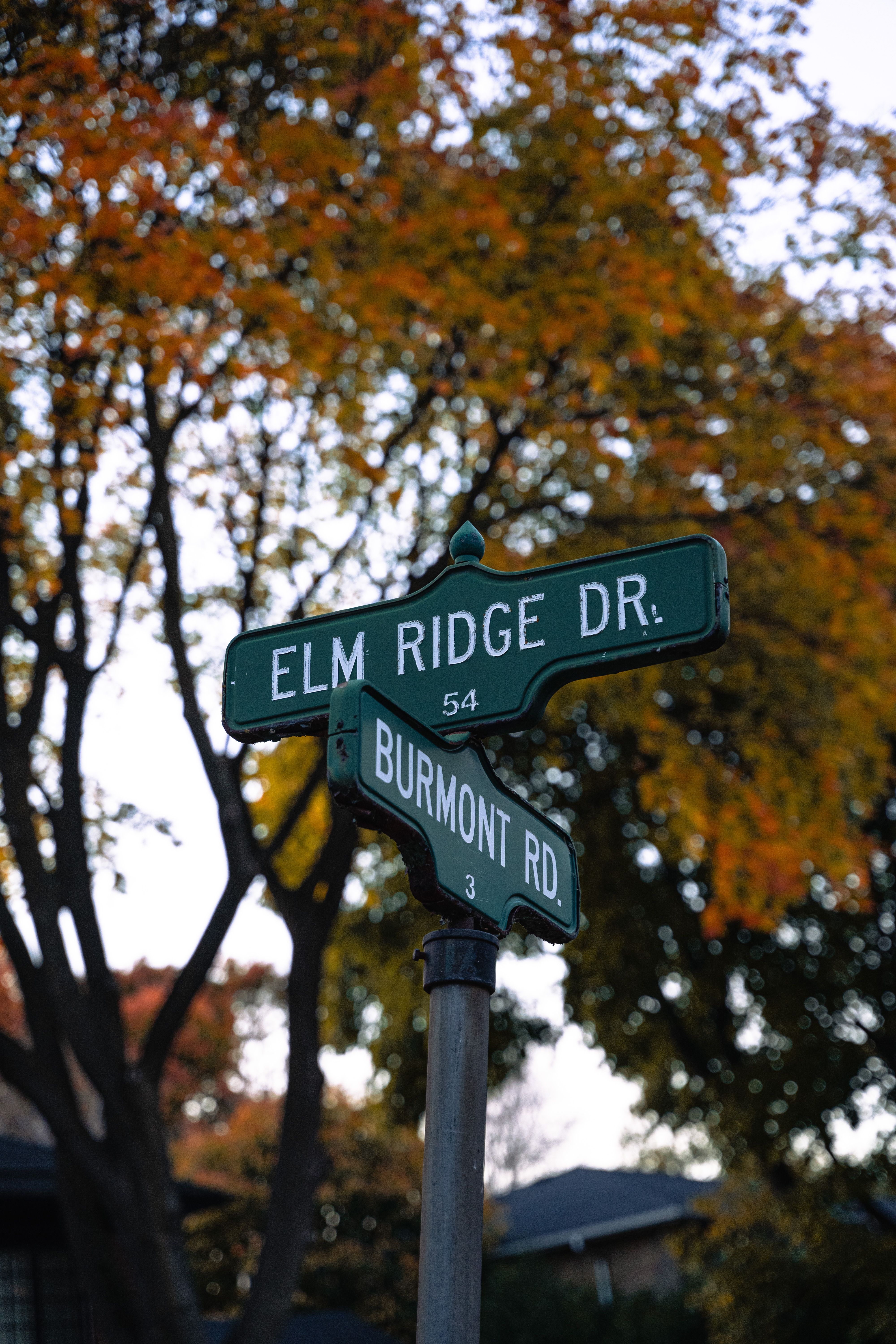Street Signs with Fall Foliage Background · Free Stock Photo